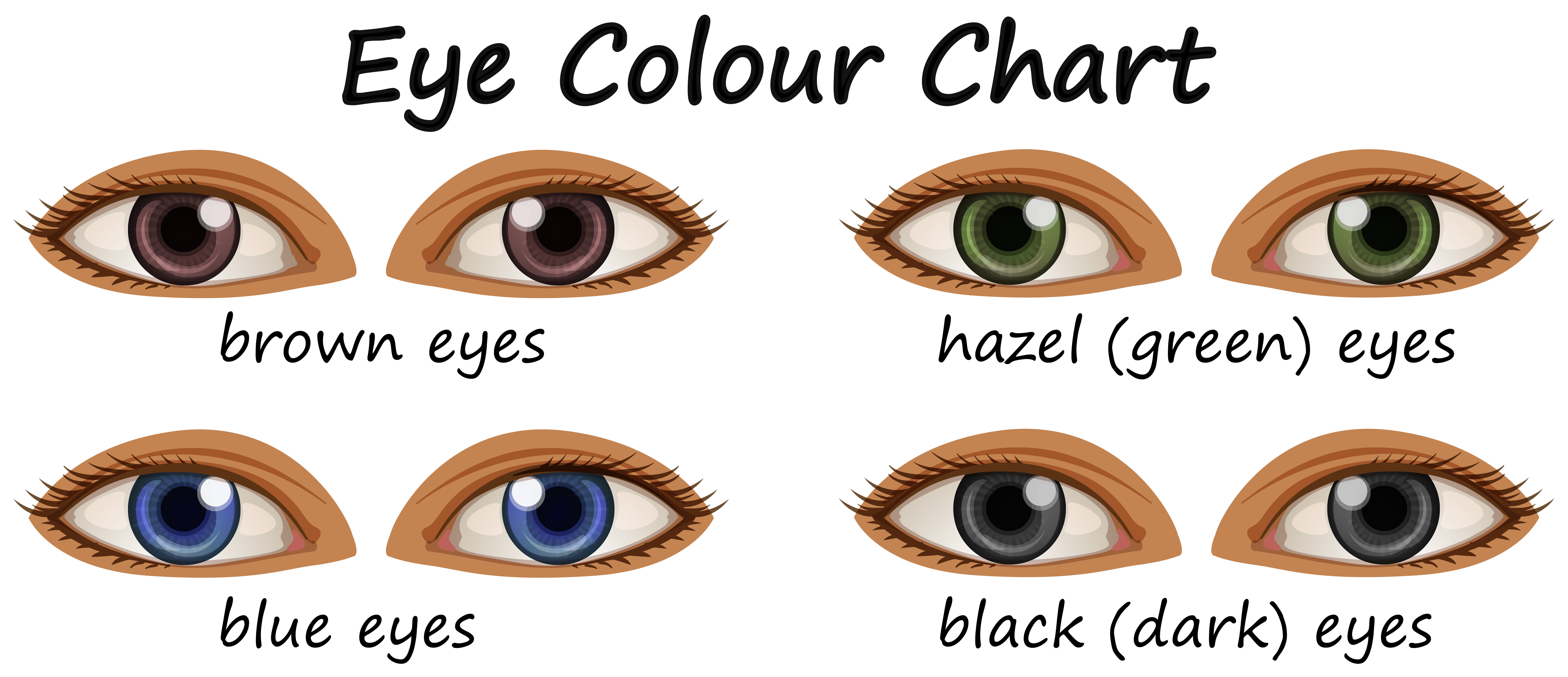 Brown Eyes Vector Art Icons And Graphics For Free Download