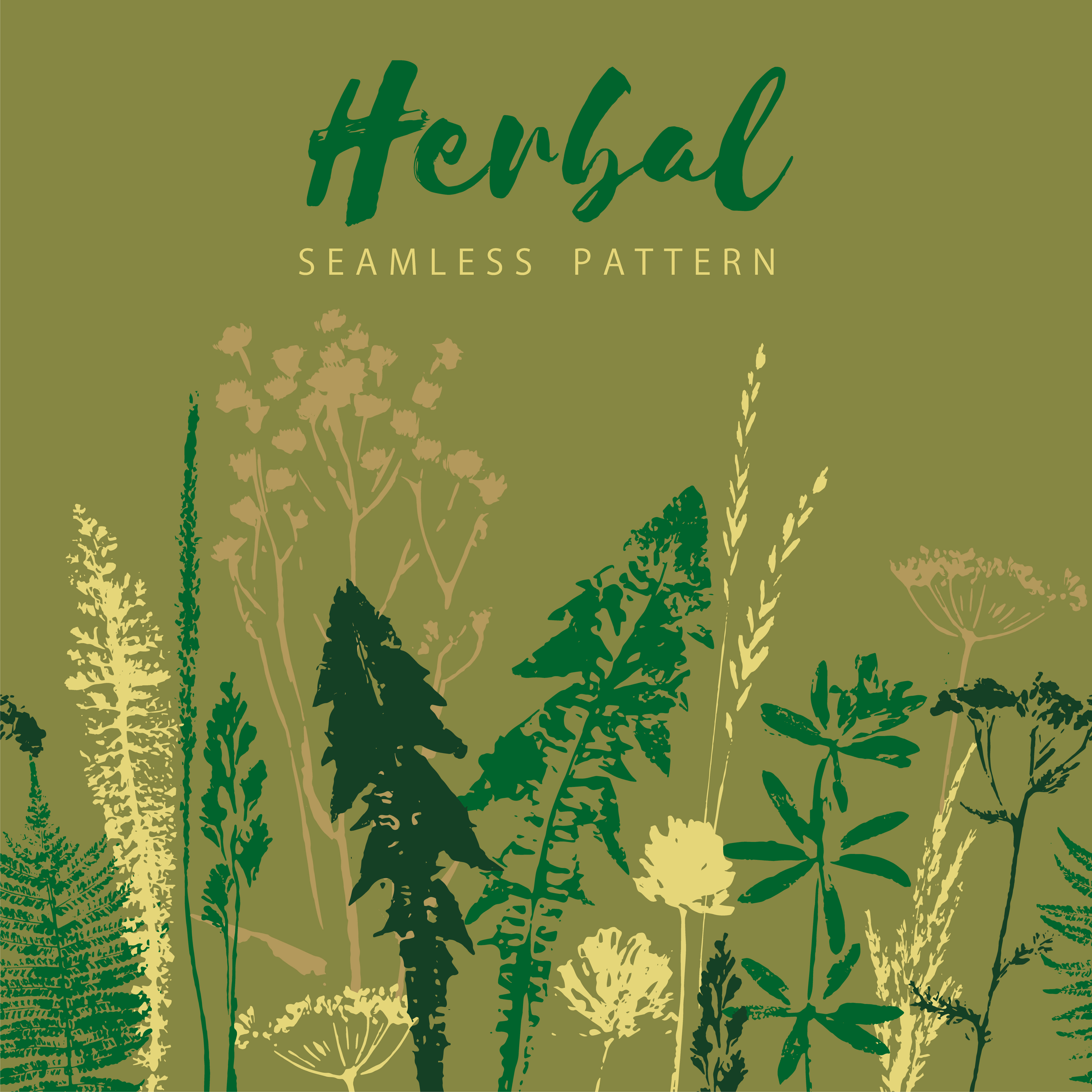 Herbal seamless pattern. Botanical border. Vector grass background ... Herbal seamless pattern. Botanical border. Vector grass background ...