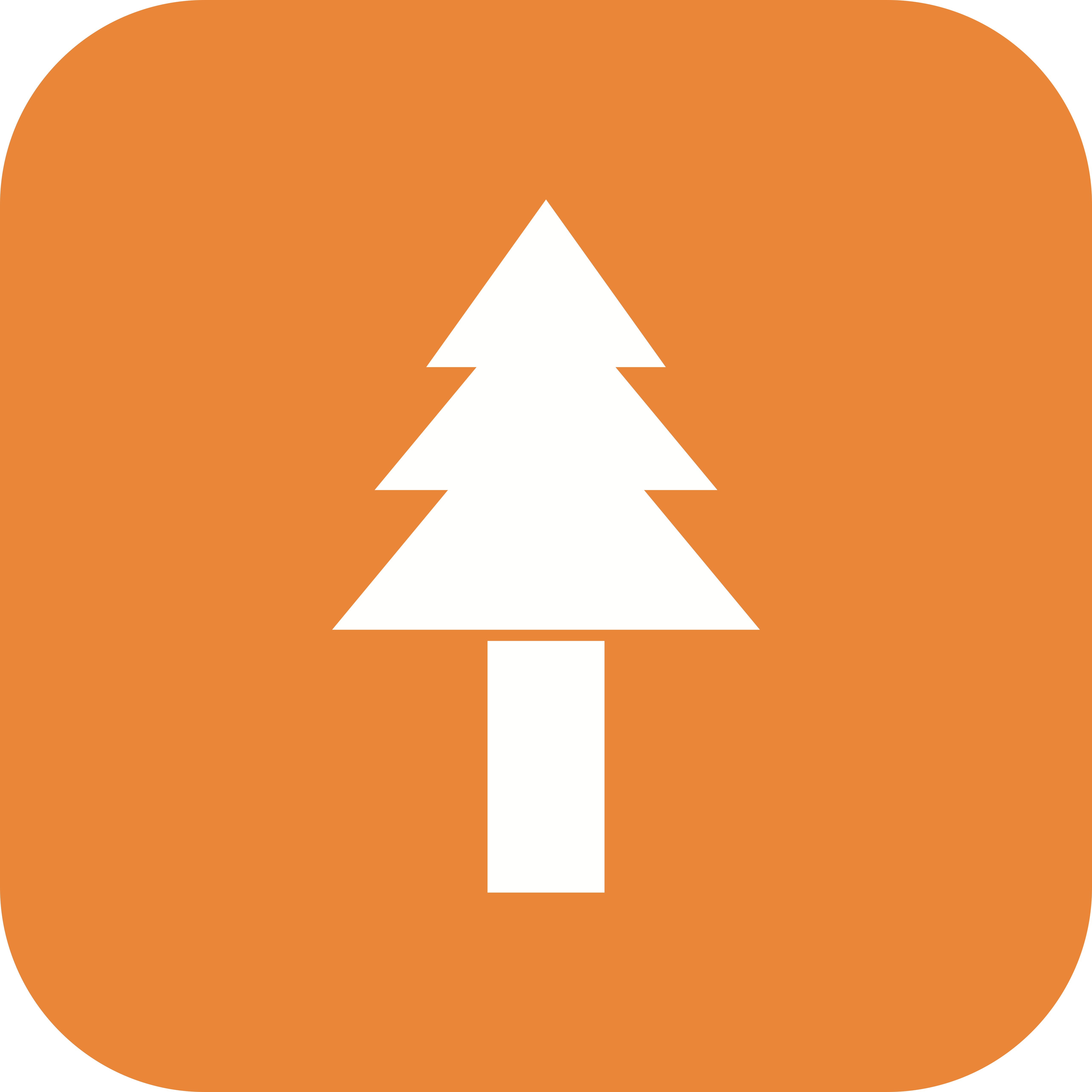 Pine Tree Vector Icon 355141 Vector Art at Vecteezy