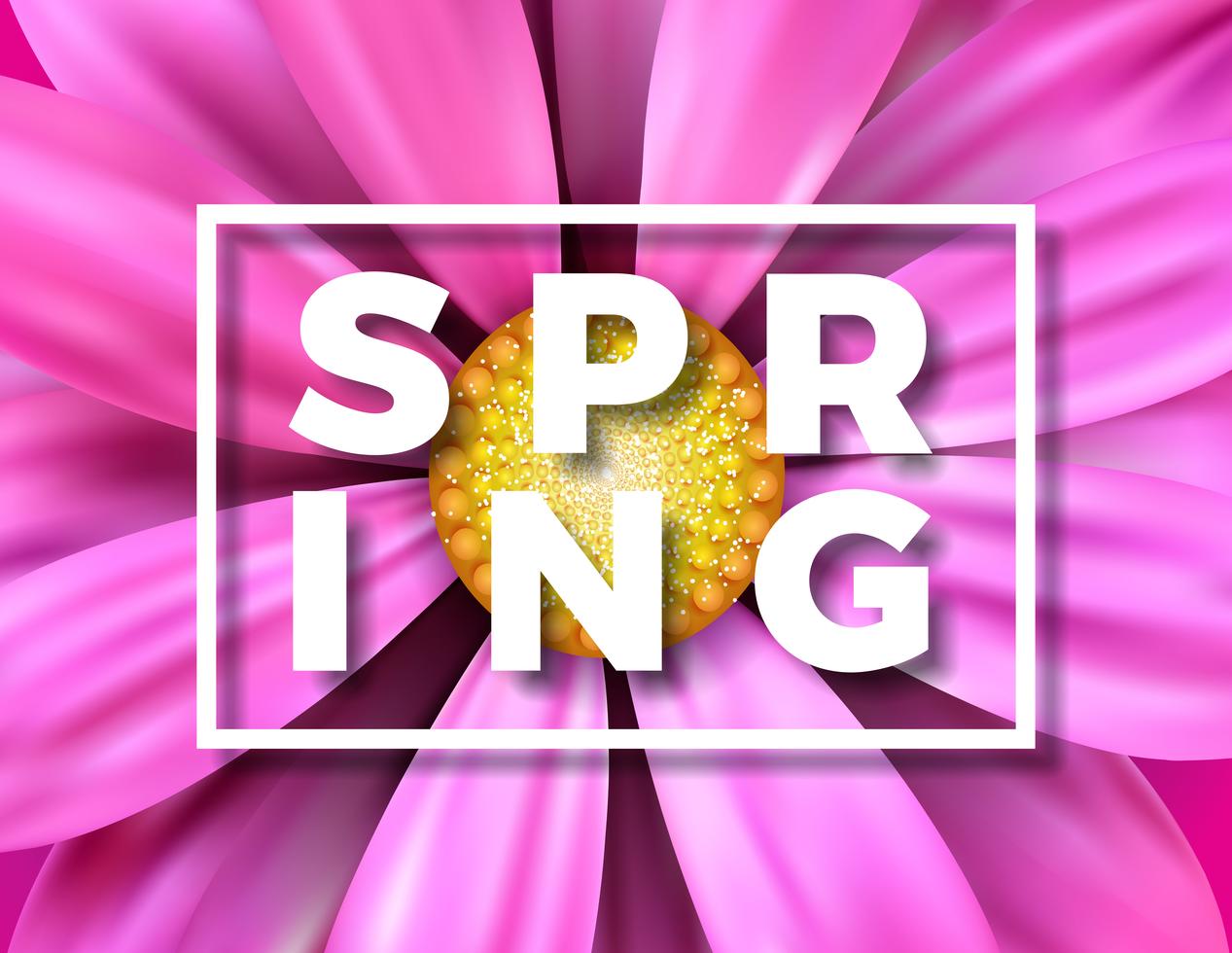 Vector spring illustration with beautiful colorful flower on Pink ...