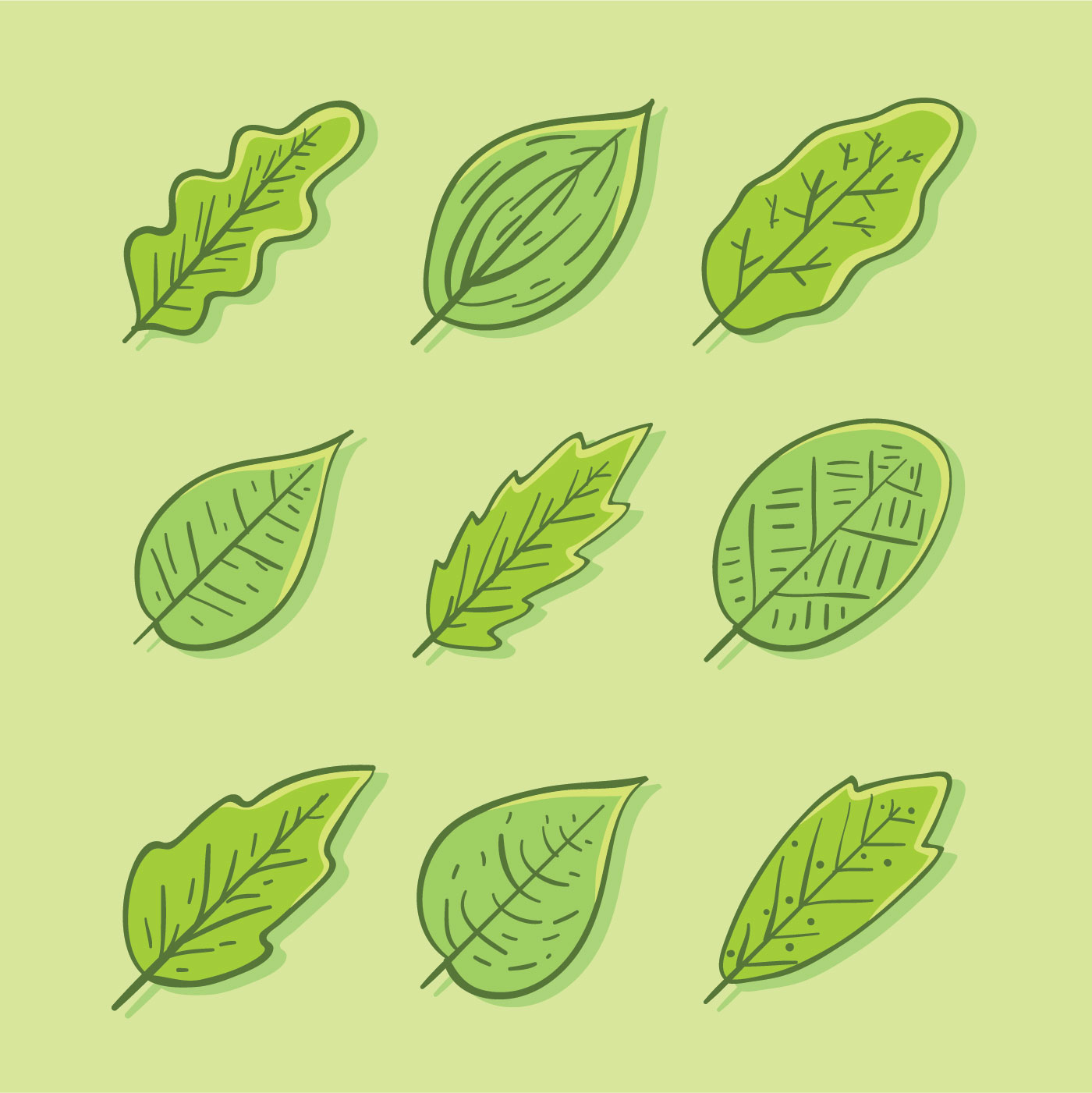 Hand Drawn Green Leaves Collection Vector 358745 Vector Art At Vecteezy