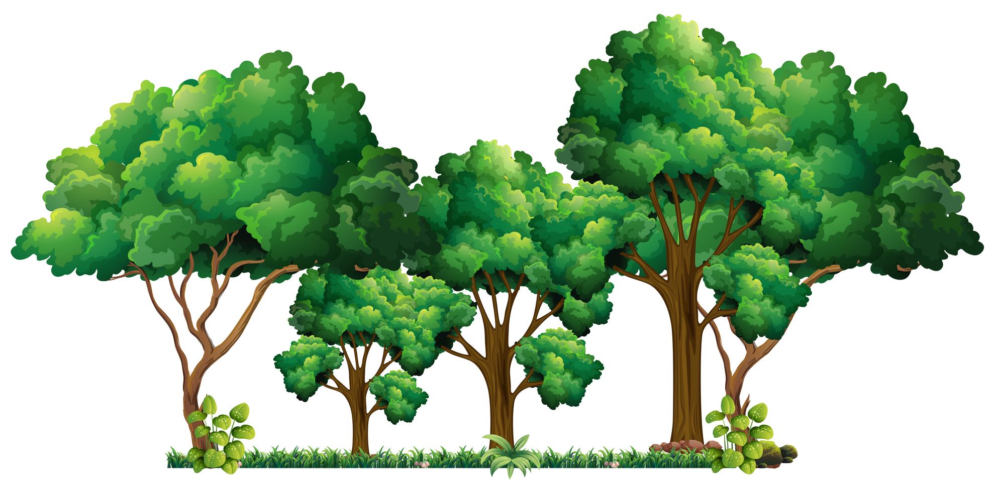 Scene with many trees 369248 Vector Art at Vecteezy