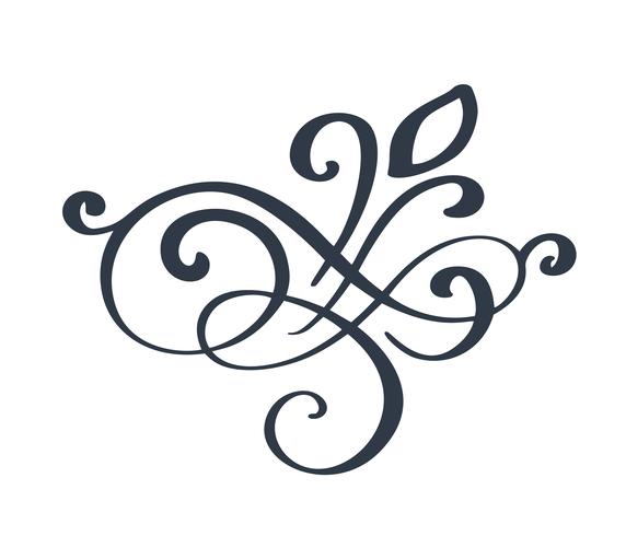 Flourish swirl ornate decoration for pointed pen ink calligraphy style ... Flourish swirl ornate decoration for pointed pen ink calligraphy style ...