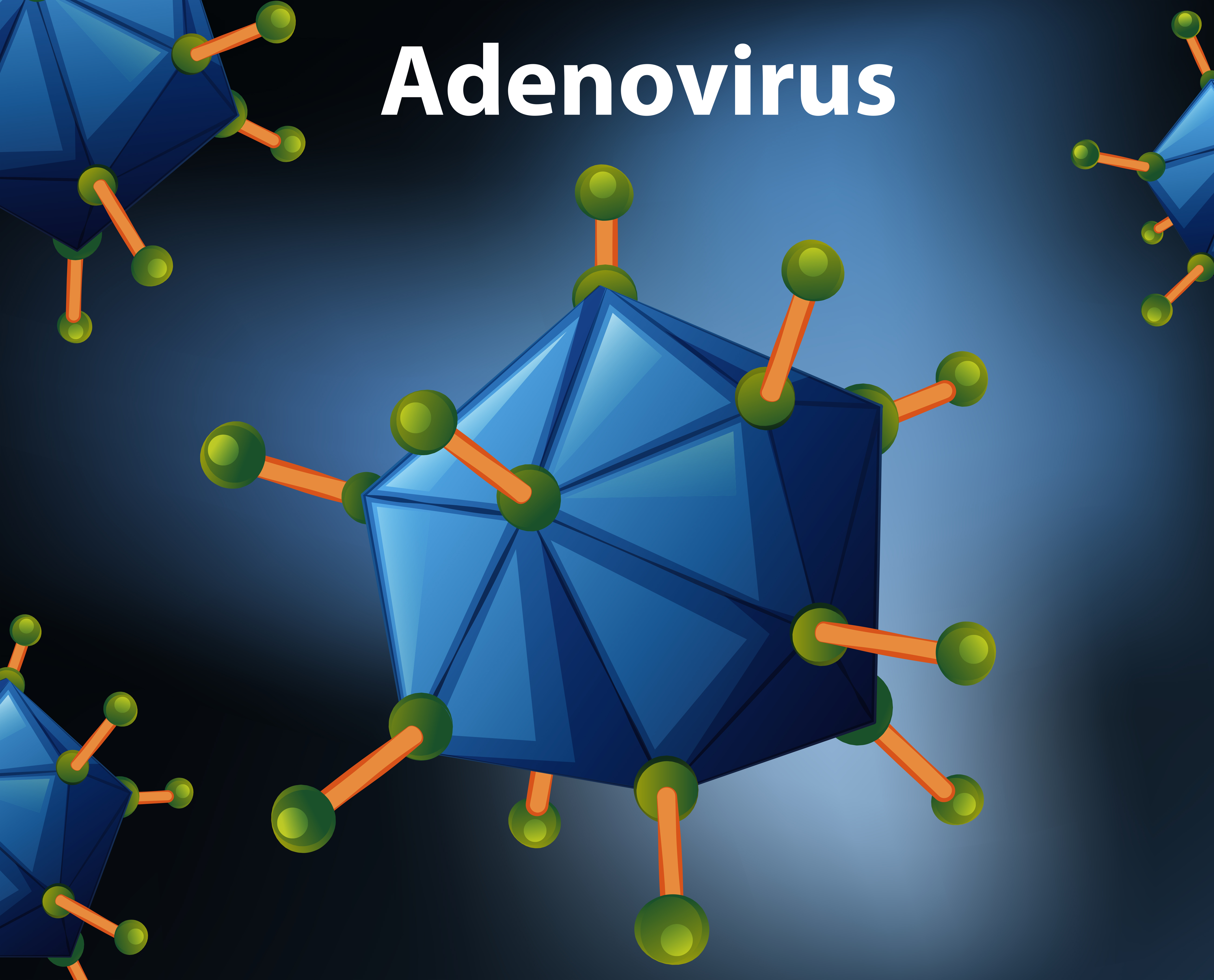 Close up diagram for Adenovirus 374002 Vector Art at Vecteezy Close up diagram for Adenovirus 374002 Vector Art at Vecteezy