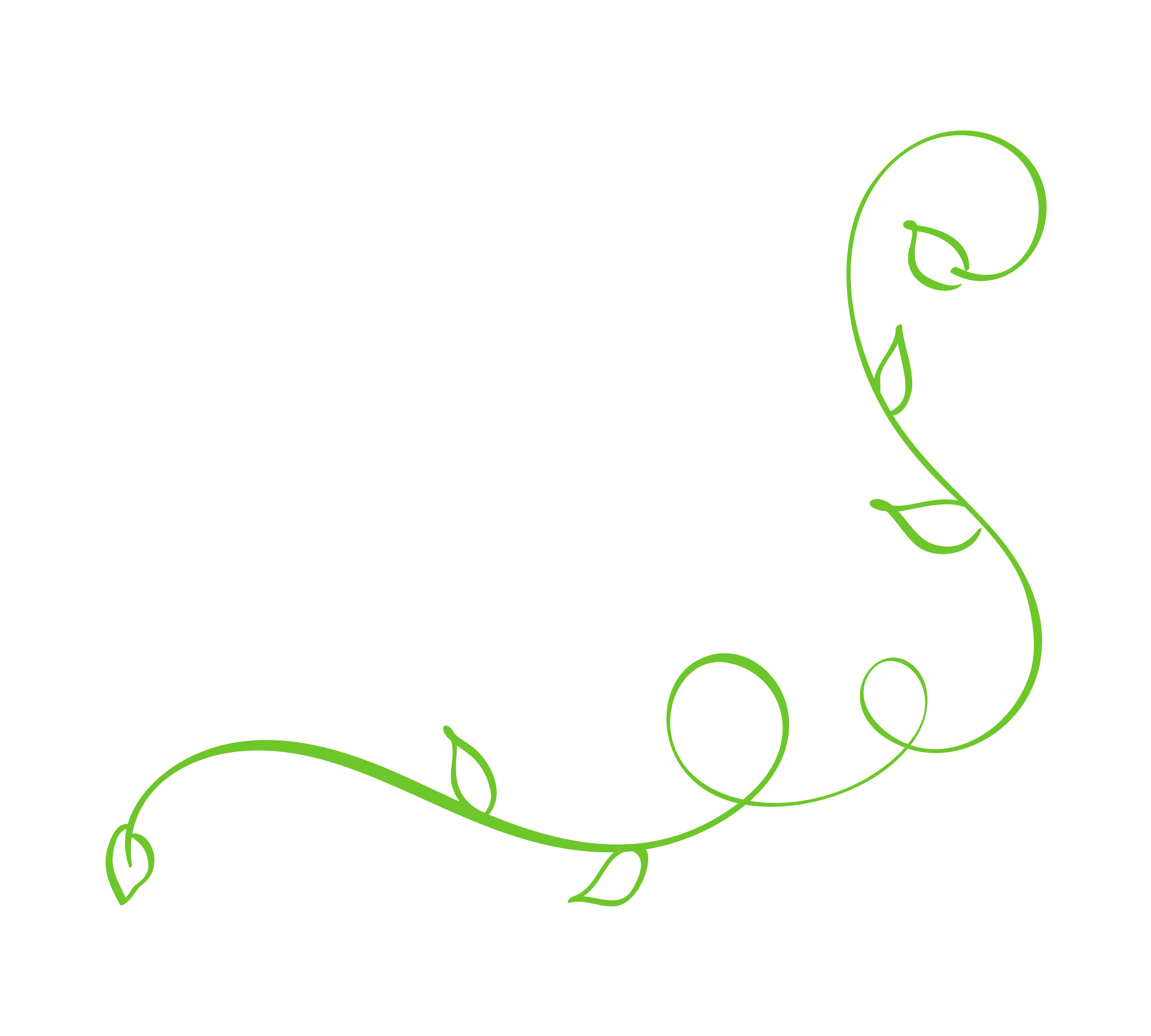 Green Vector Hand Drawn Calligraphic Corner. Spring Flourish Design ... Green Vector Hand Drawn Calligraphic Corner. Spring Flourish Design ...