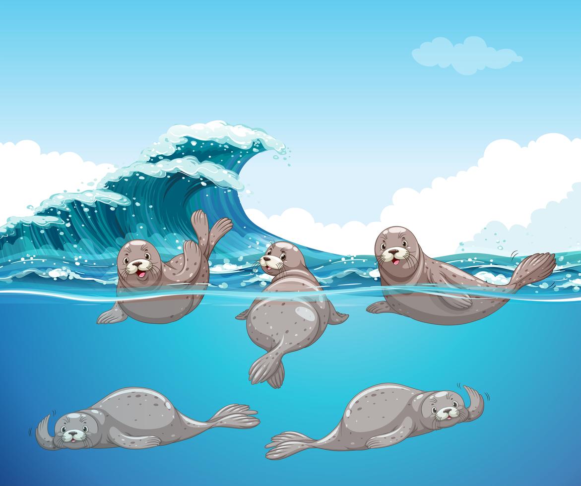 Seals Swimming In The Ocean 376795 Vector Art At Vecteezy