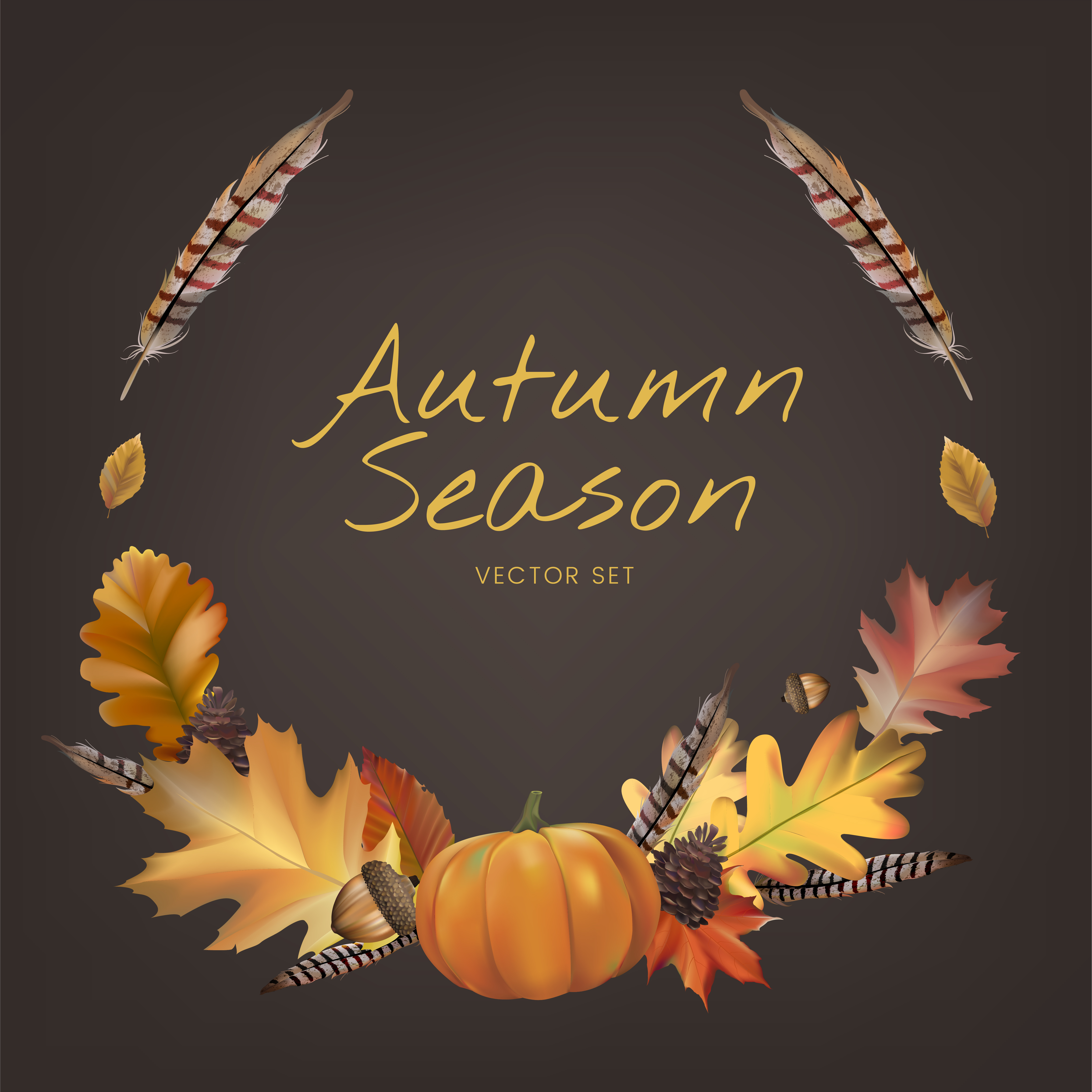 Collection of autumn leaves vector - Download Free Vectors, Clipart ...