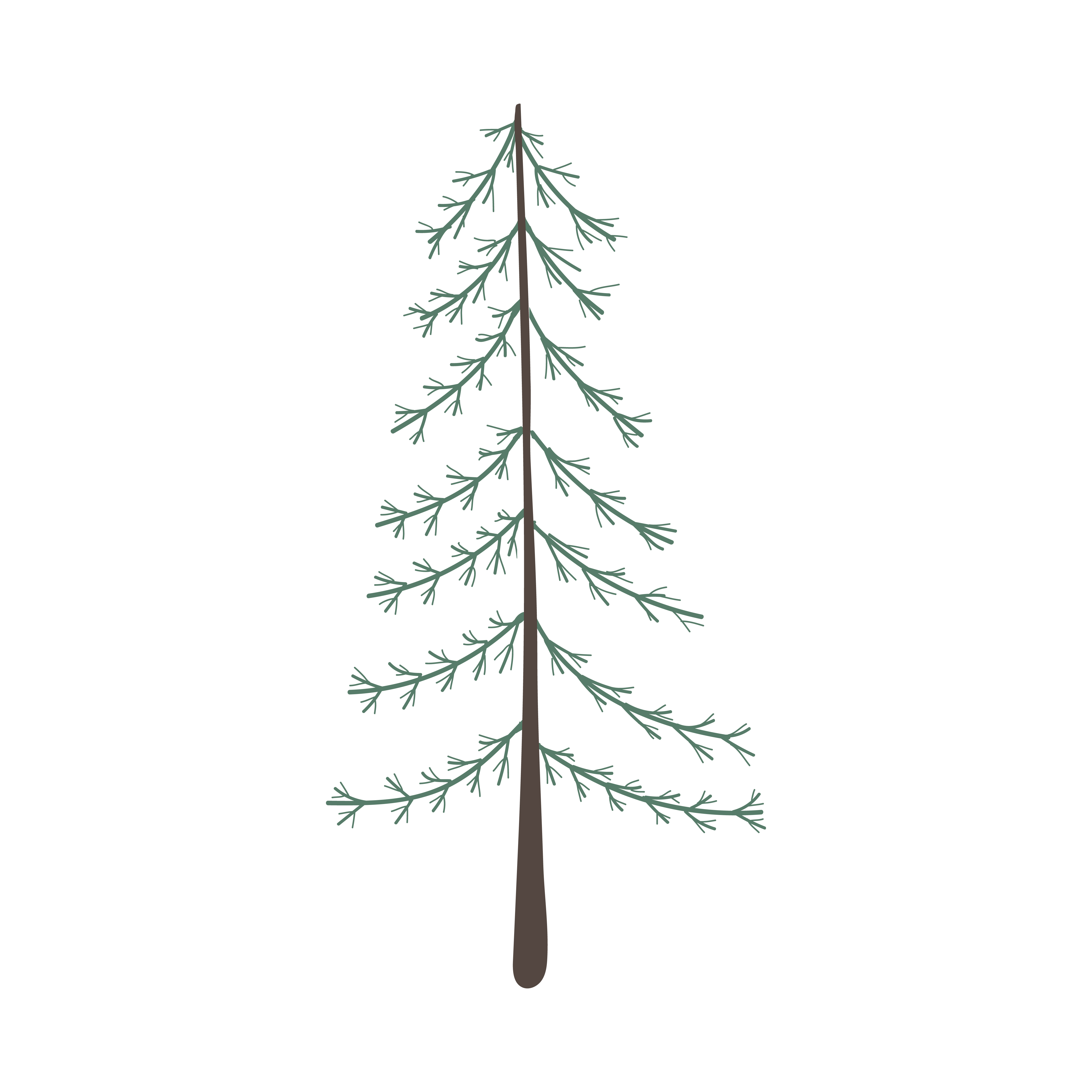 Tree illustration vector - Download Free Vectors, Clipart Graphics ...