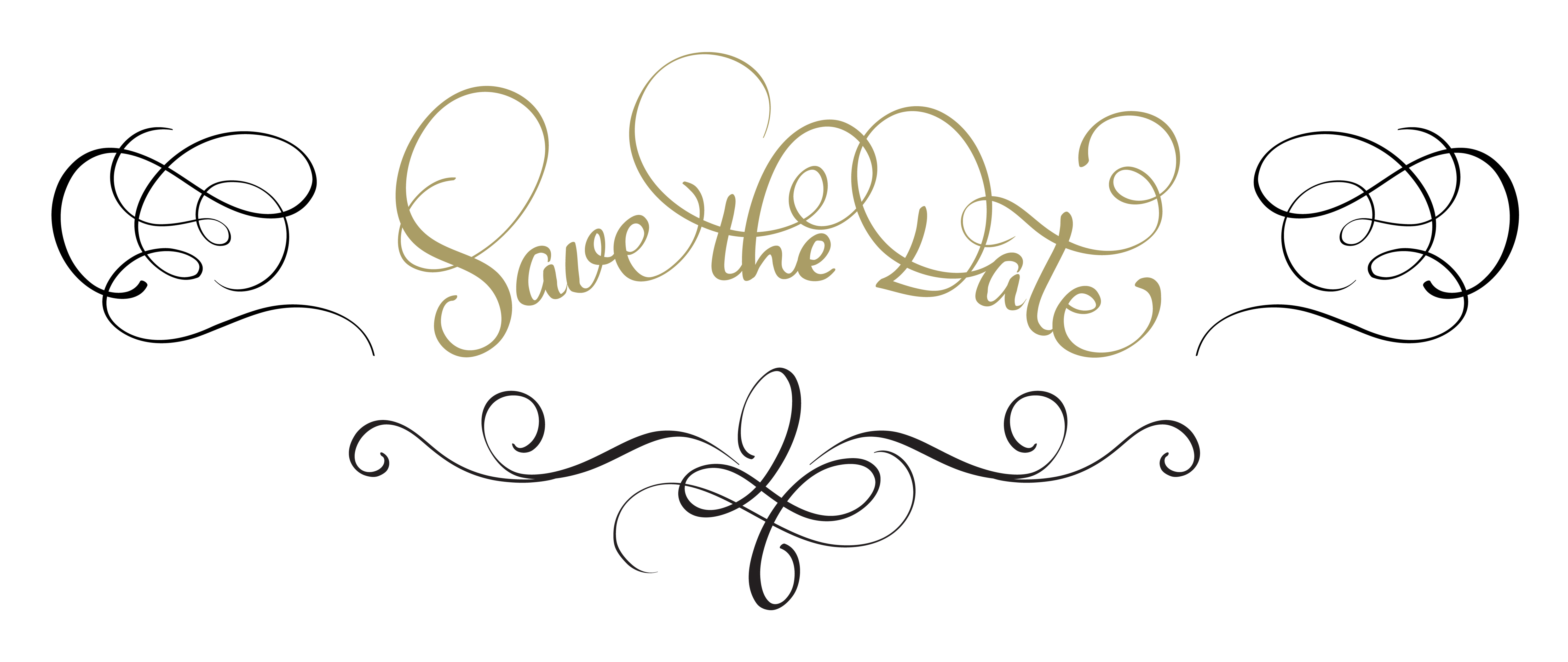 Save The Date Text In Frame On White Background Calligraphy Lettering Vector Illustration Eps10