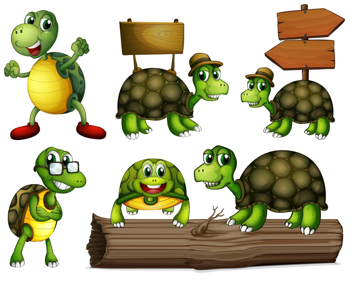 Turtles With Empty Signboards 416813 Vector Art At Vecteezy