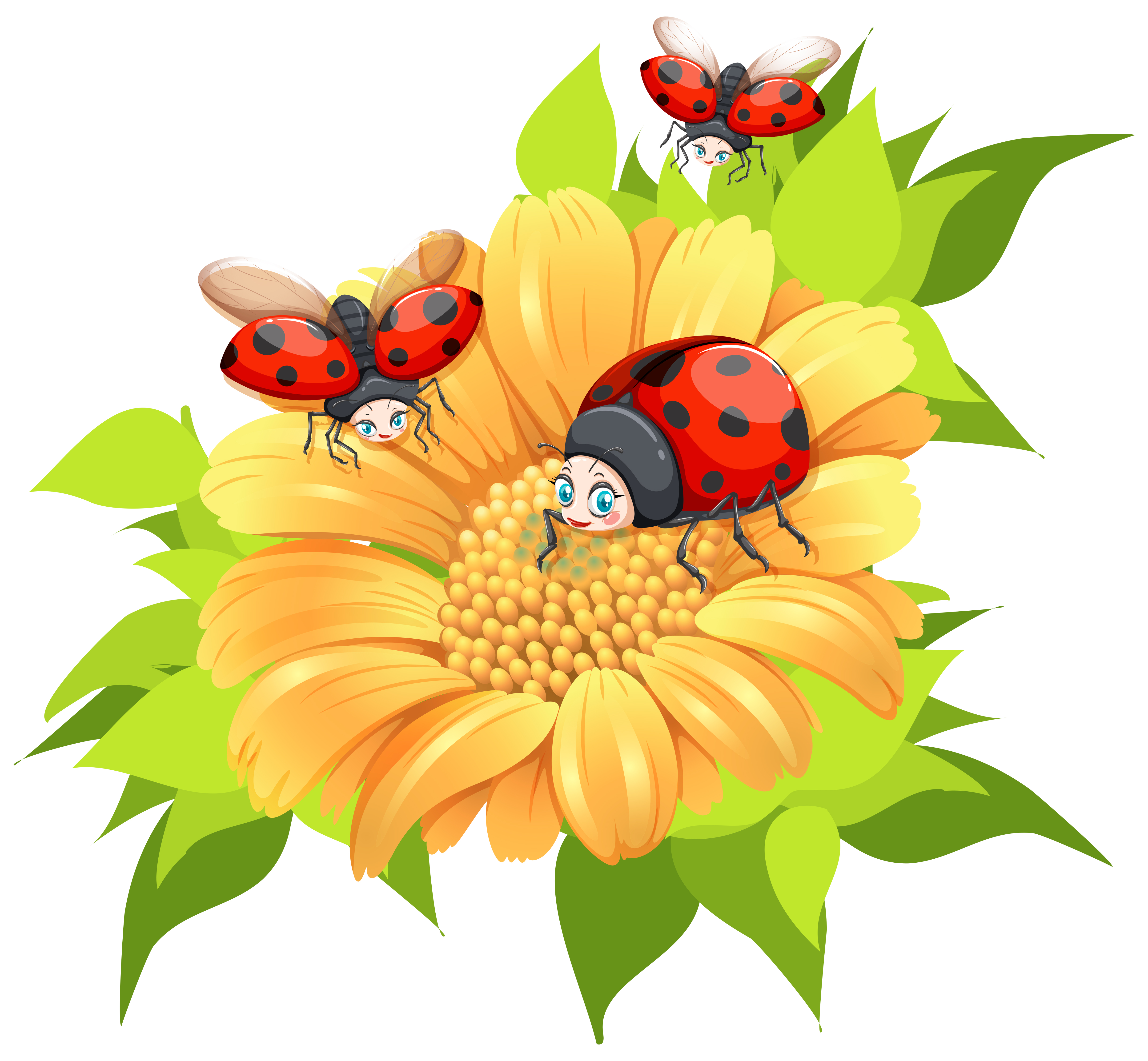 Ladybugs flying around yellow flower 431184 Vector Art at Vecteezy Ladybugs flying around yellow flower 431184 Vector Art at Vecteezy