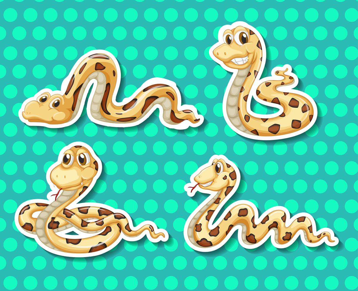 Snakes 431900 Vector Art at Vecteezy