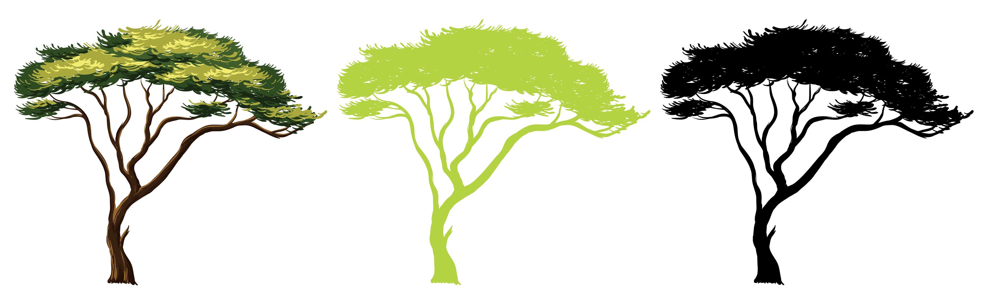 Set of tree design 433777 Vector Art at Vecteezy