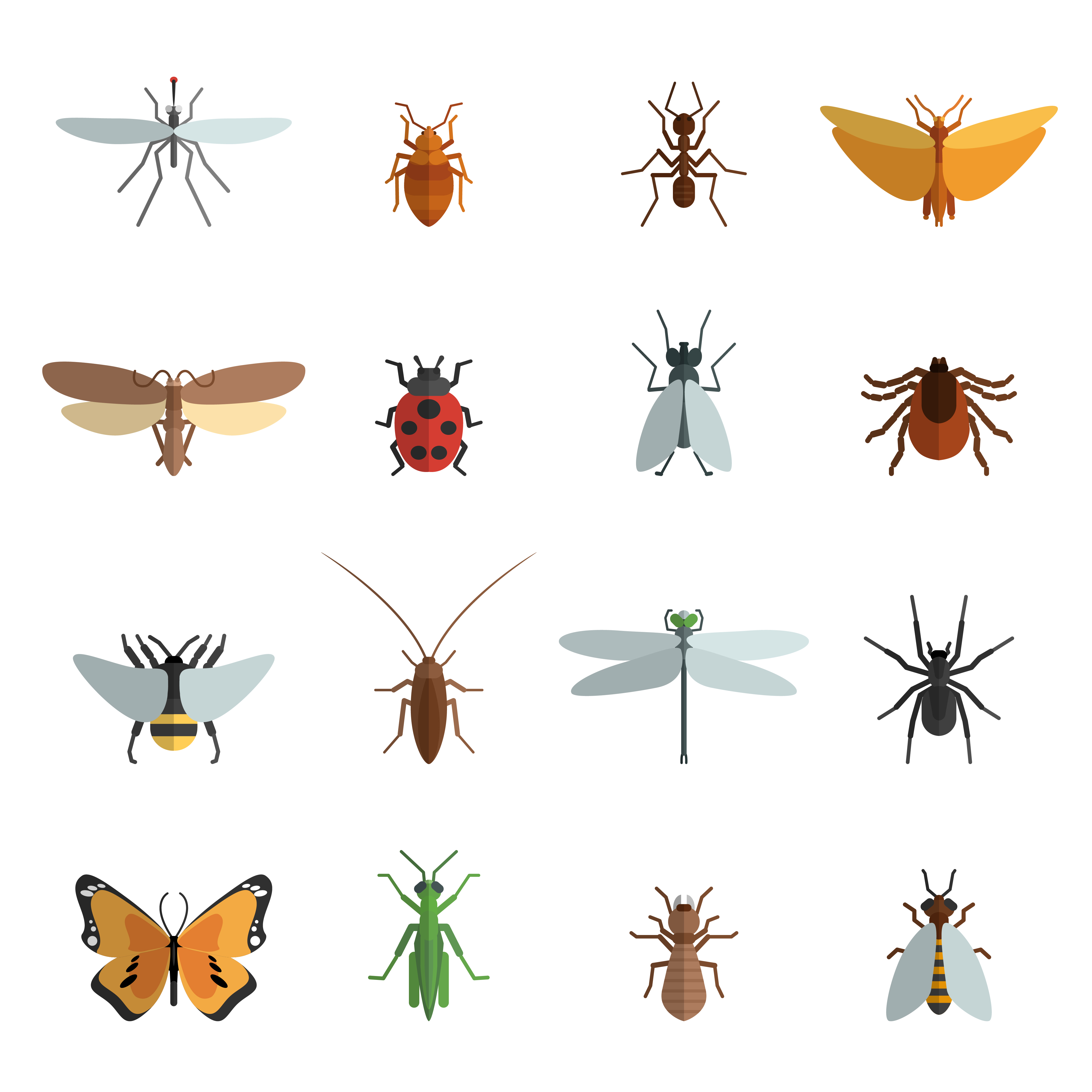 Insect Drawing Vector Art Icons And Graphics For Free