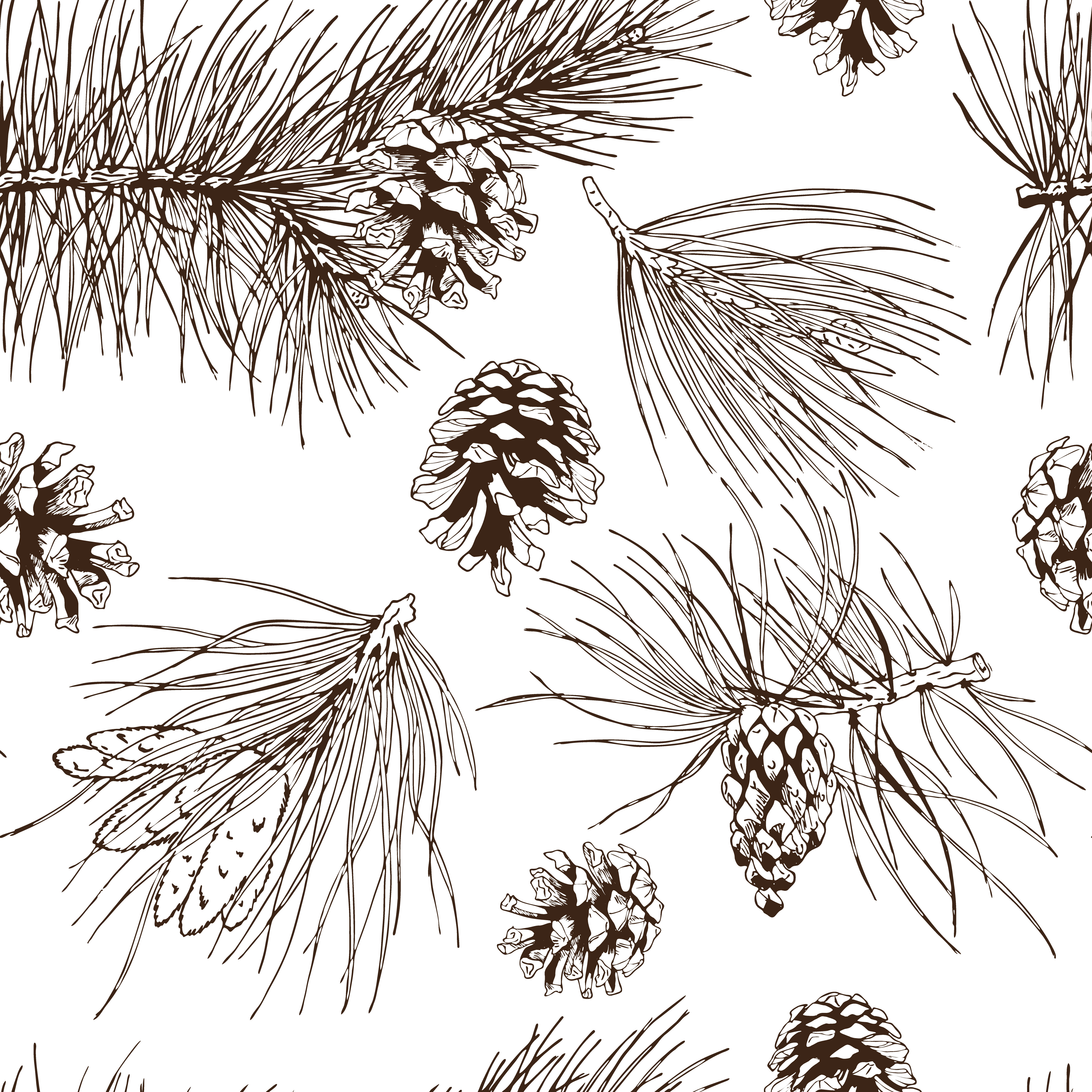Pine branches seamless pattern 436114 Vector Art at Vecteezy