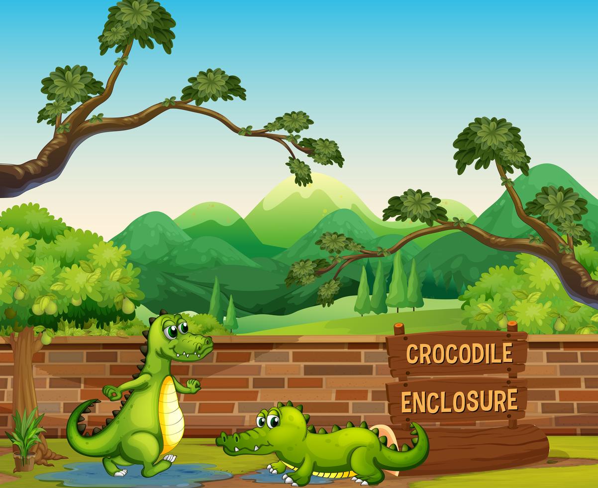 Two crocodiles in the zoo 446359 Vector Art at Vecteezy