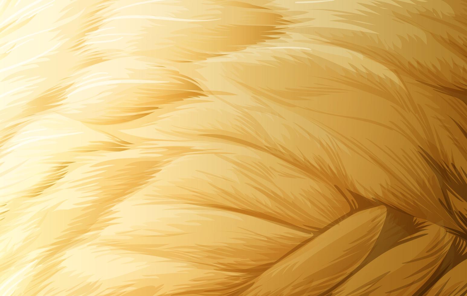 A feather texture 448469 Vector Art at Vecteezy
