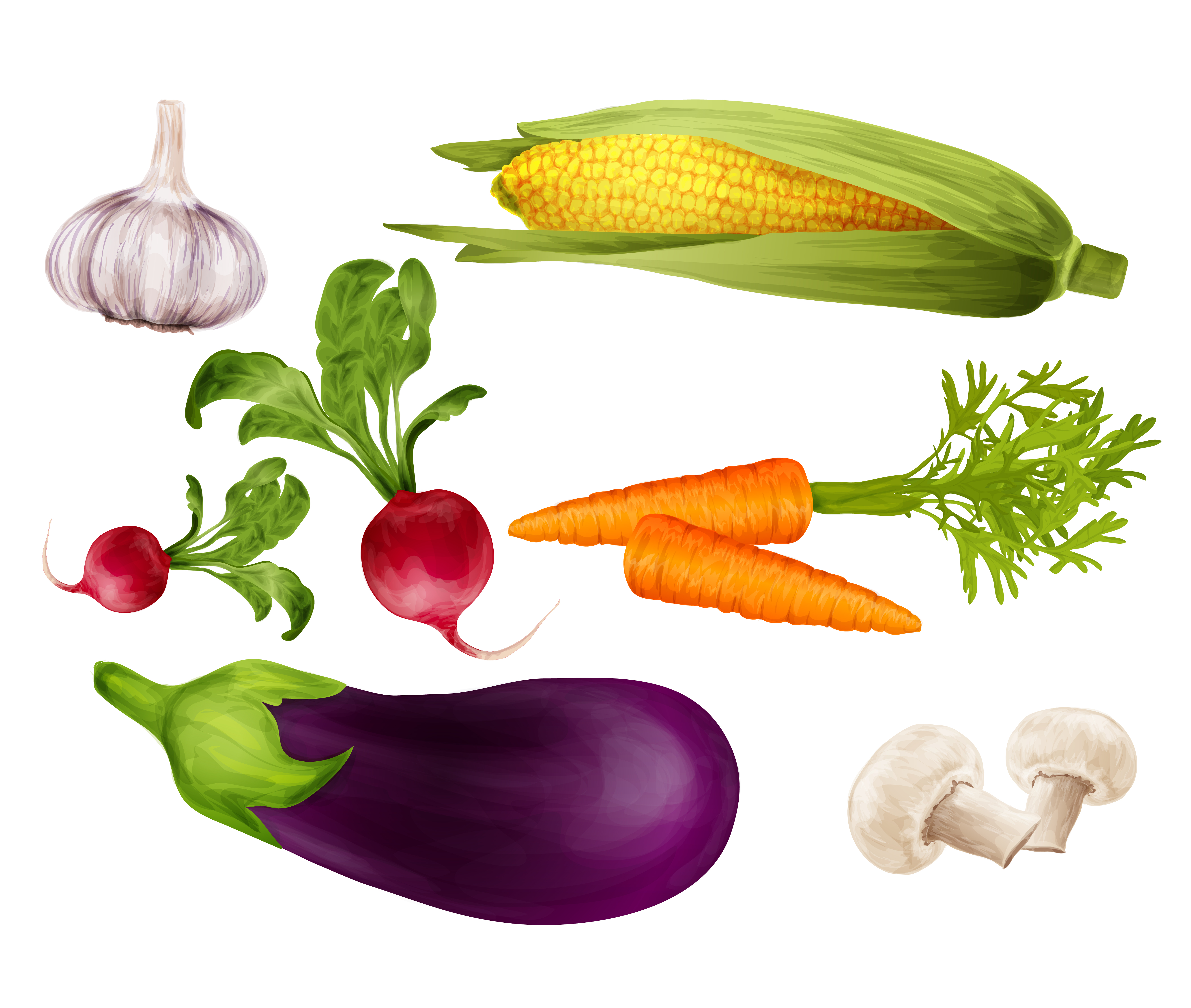 Vegetables realistic set 453159 Vector Art at Vecteezy Vegetables realistic set 453159 Vector Art at Vecteezy