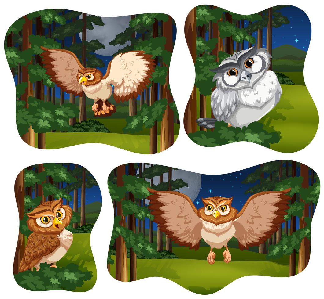 Four forest scenes with owl flying 455388 Vector Art at Vecteezy Four forest scenes with owl flying 455388 Vector Art at Vecteezy