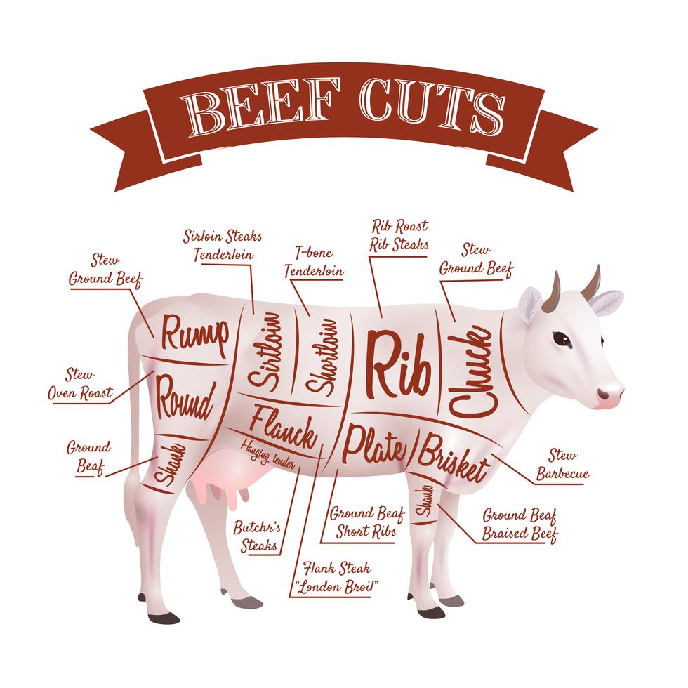 Beef Cuts Illustration 468170 Vector Art At Vecteezy