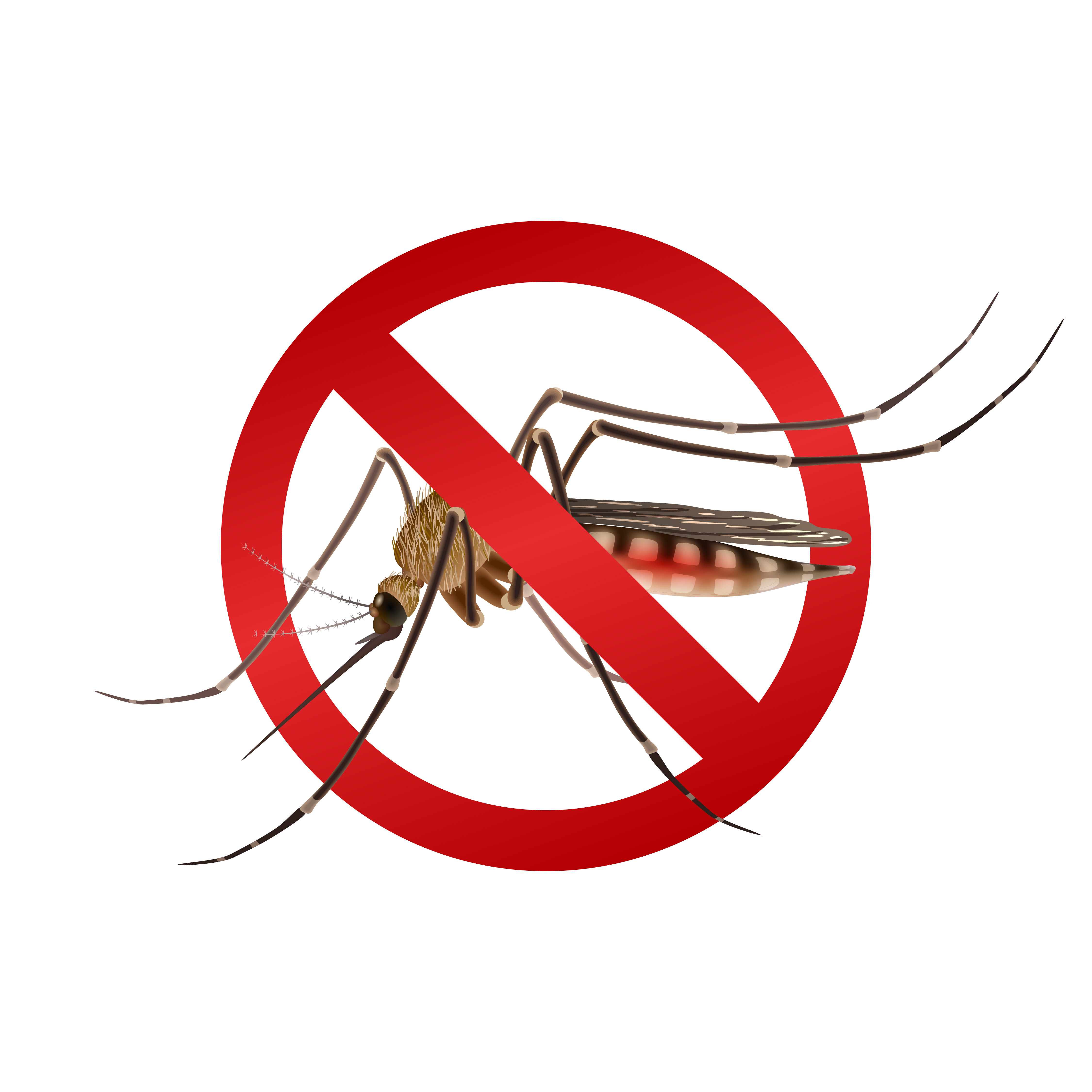 Mosquito Stop Sign 472692 Vector Art At Vecteezy