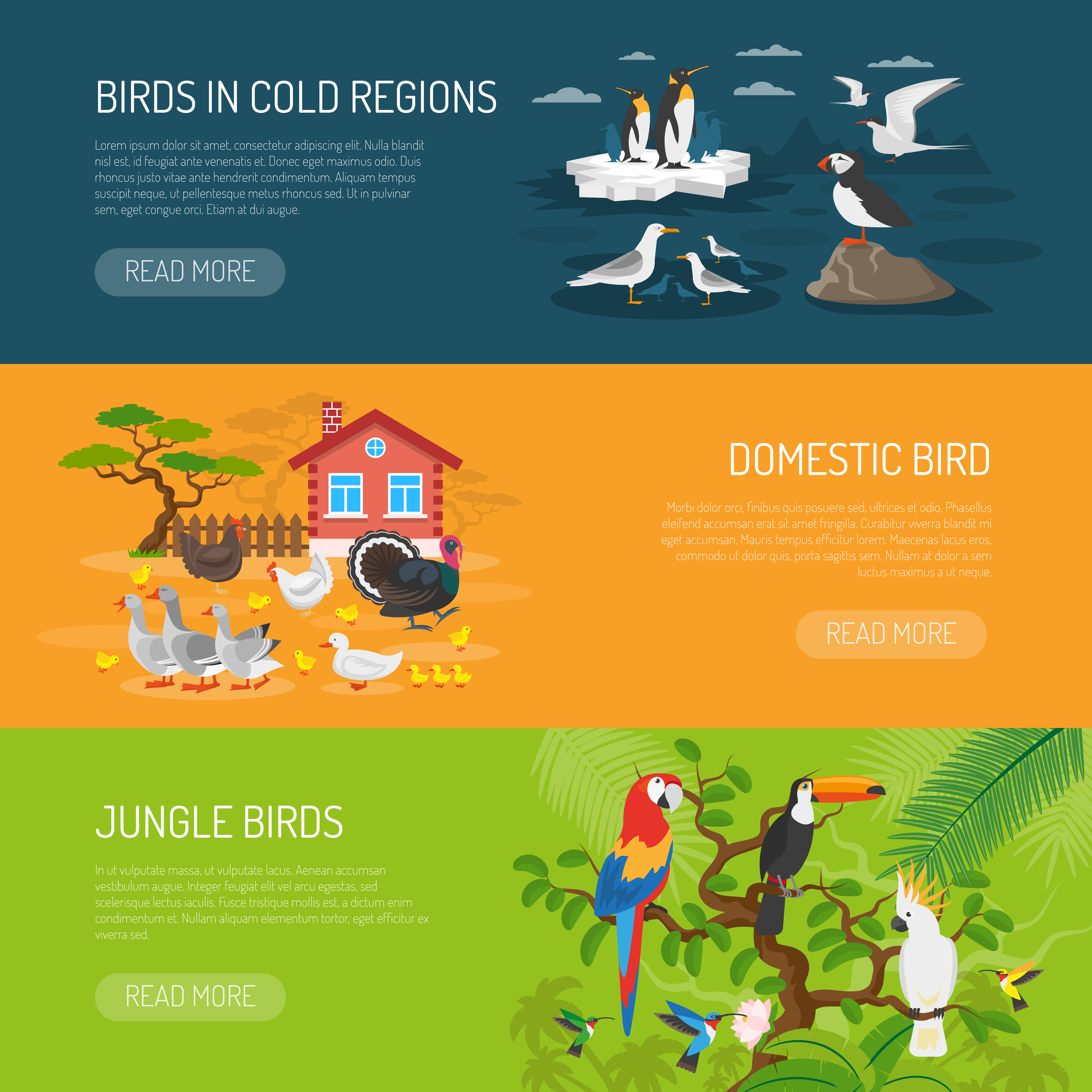 Bird Horizontal Banners Set 472697 Vector Art At Vecteezy