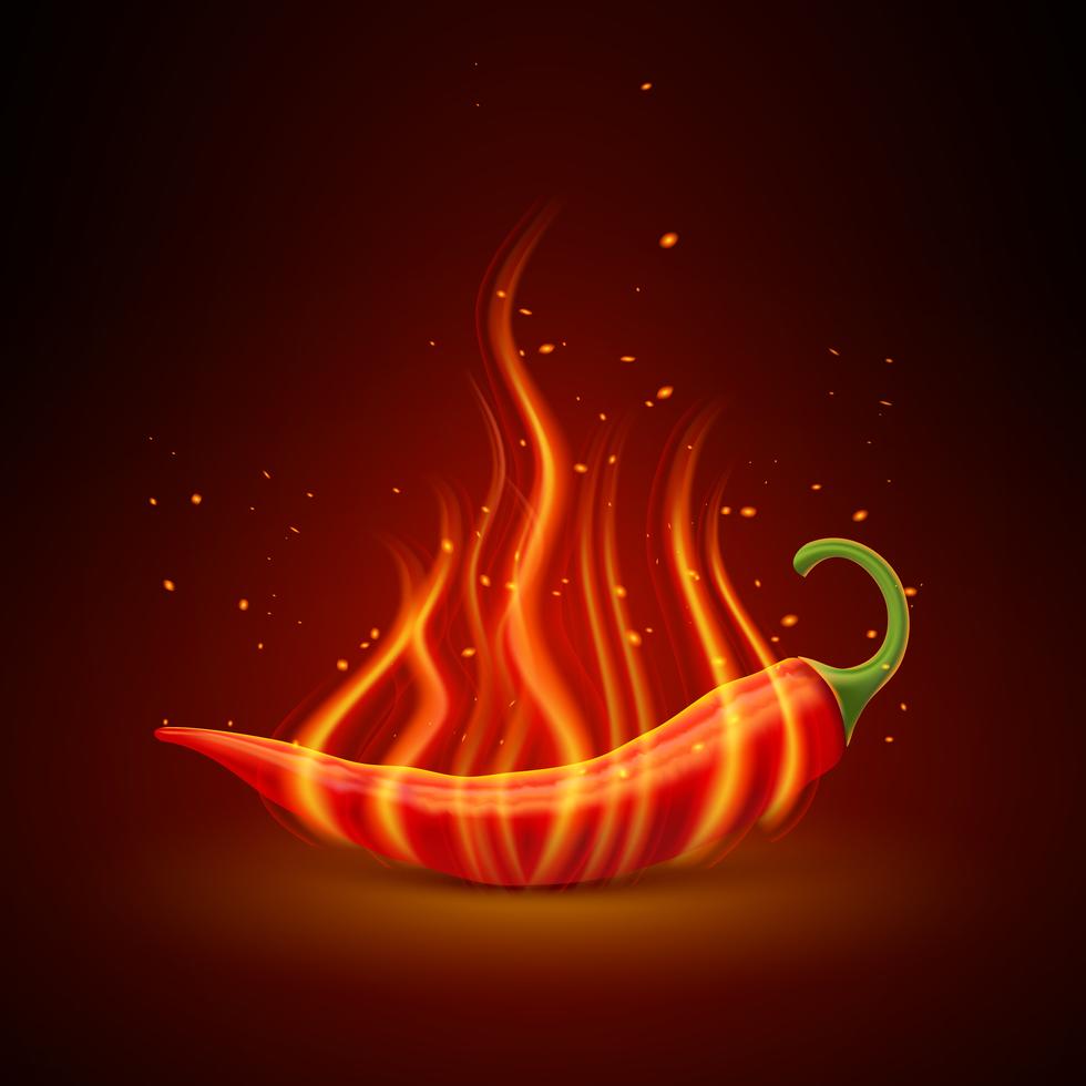 Red Chili Pepper Realistic Single Object 478815 Vector Art at Vecteezy Red Chili Pepper Realistic Single Object 478815 Vector Art at Vecteezy