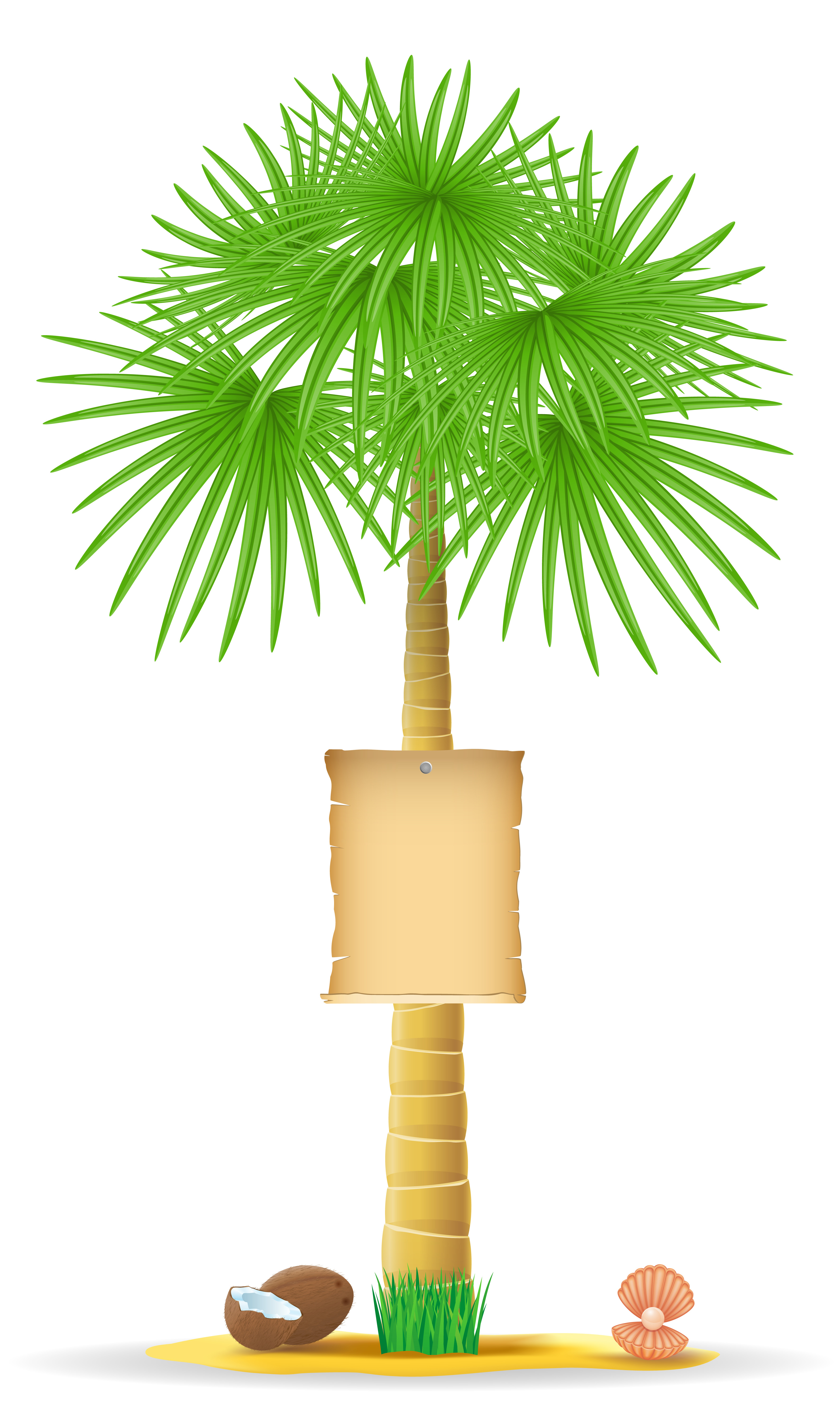 palm tree with a sign vector illustration 488668 Vector Art at Vecteezy