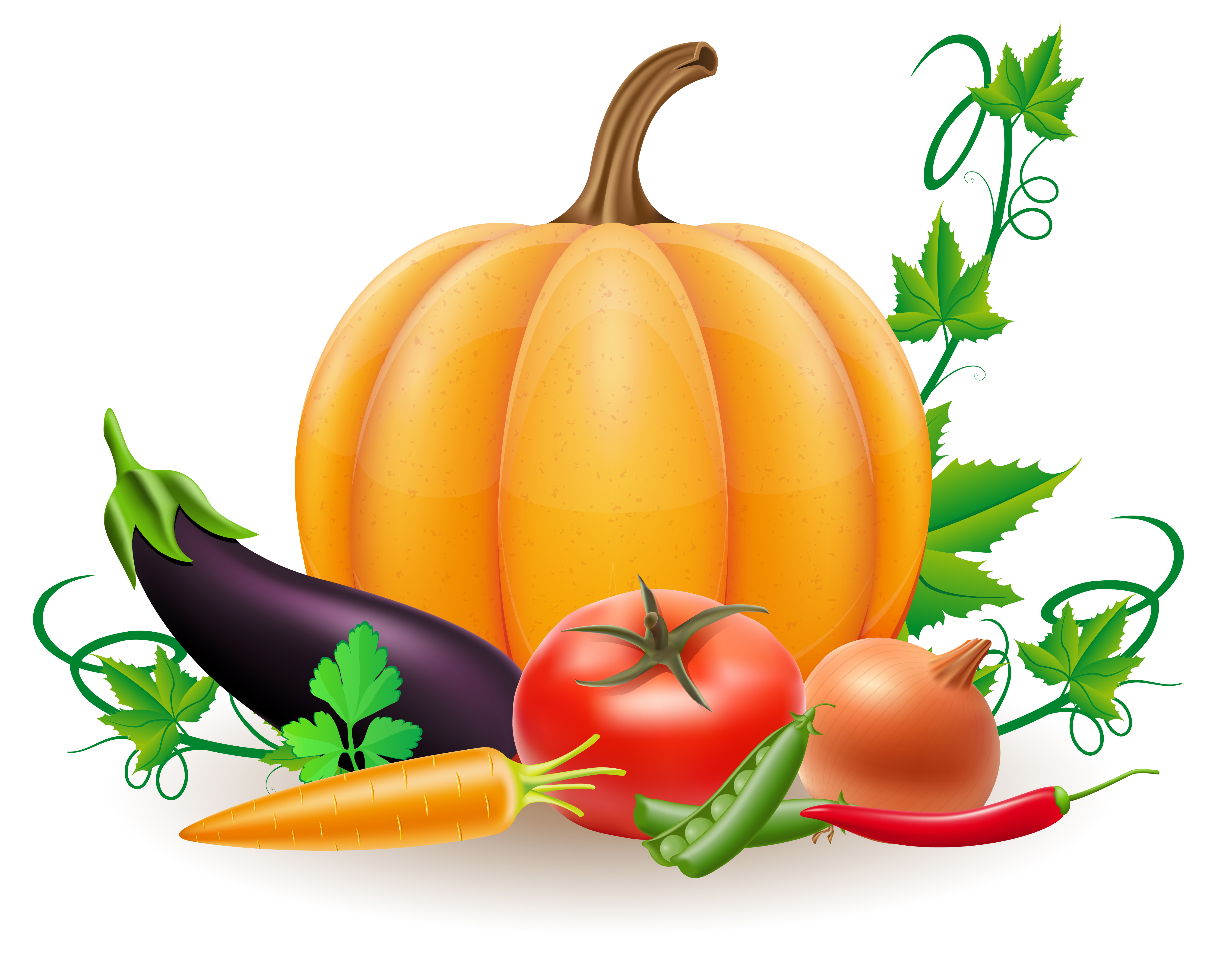 pumpkin and autumn harvest vegetables vector illustration 489670 Vector ...