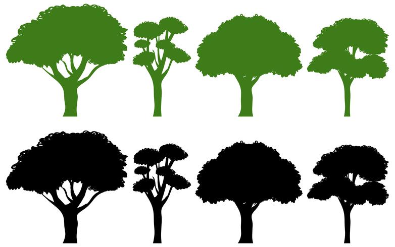Set of different tree 519252 Vector Art at Vecteezy
