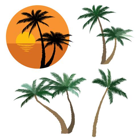 Palm tree set. Nature floral design elements. Tropical plant trees ...