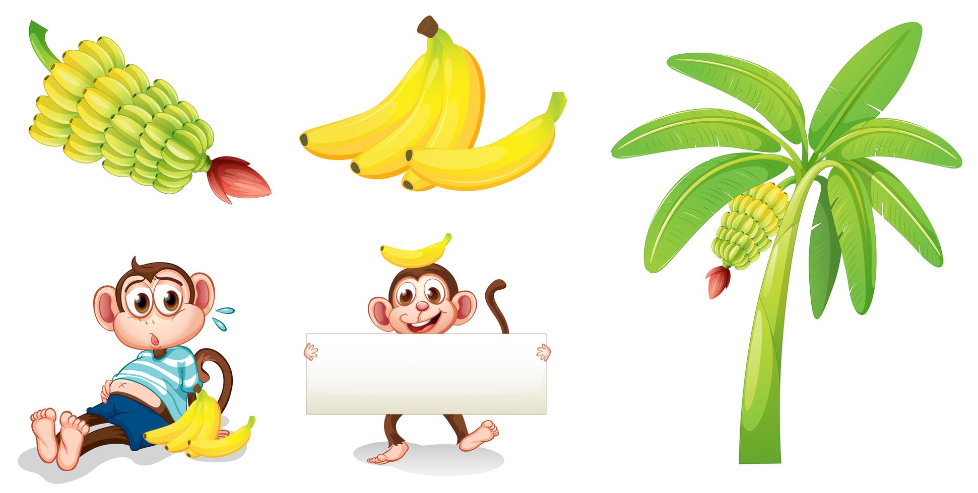 Bananas and monkeys with an empty signboard 525922 Vector Art at Vecteezy