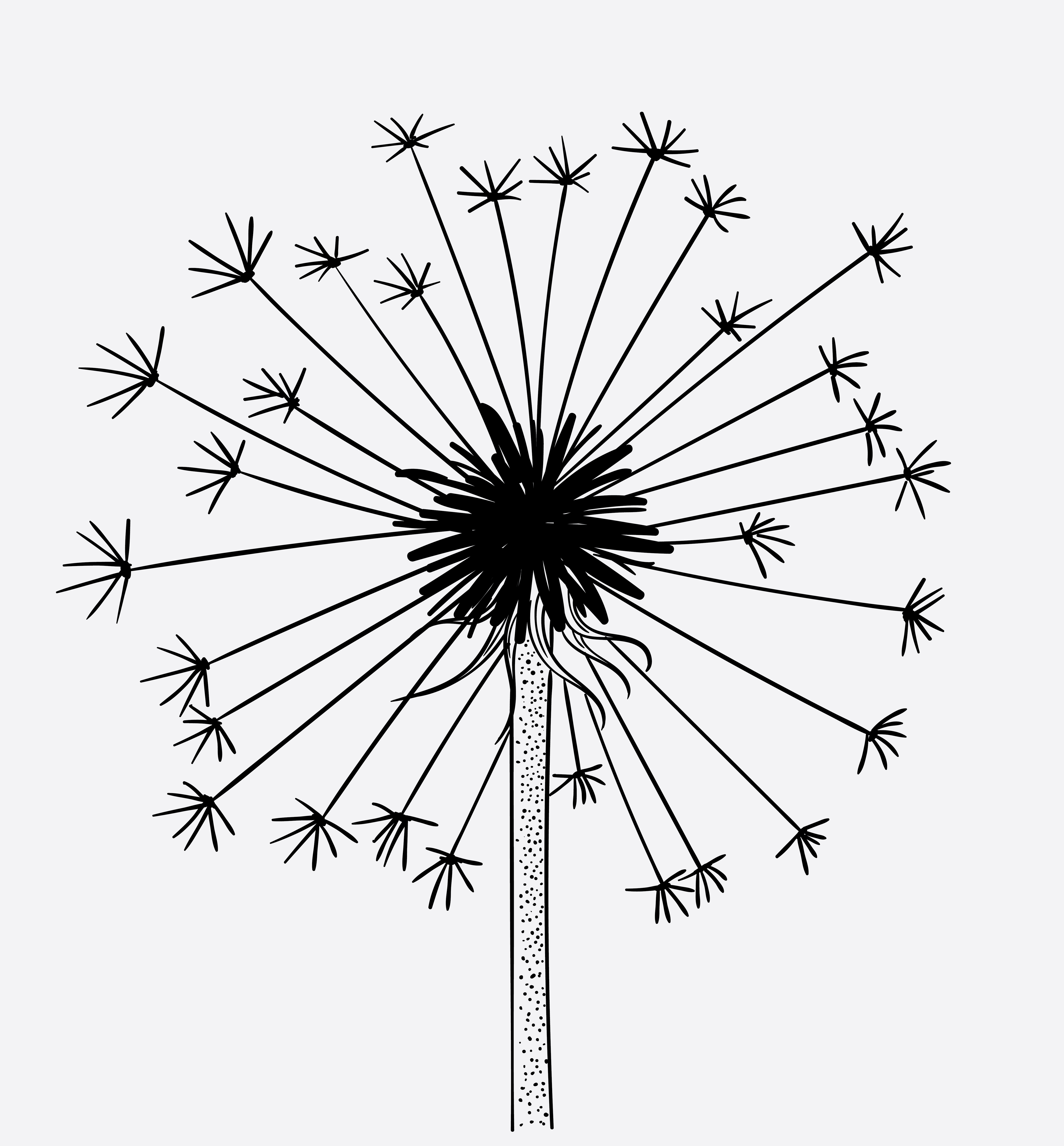 Winter Grass Flowers 530763 Vector Art At Vecteezy