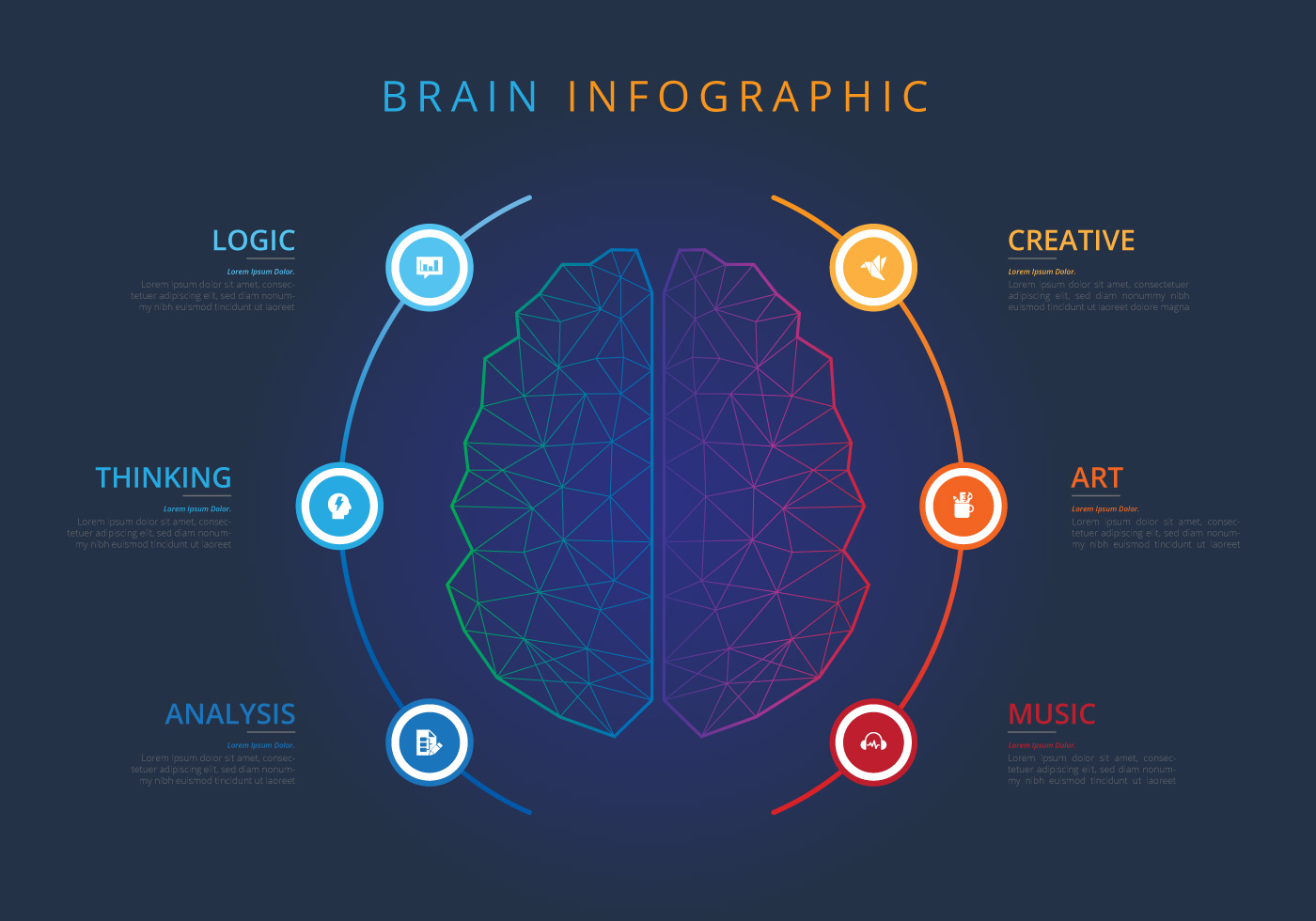 Human Brain Infographic