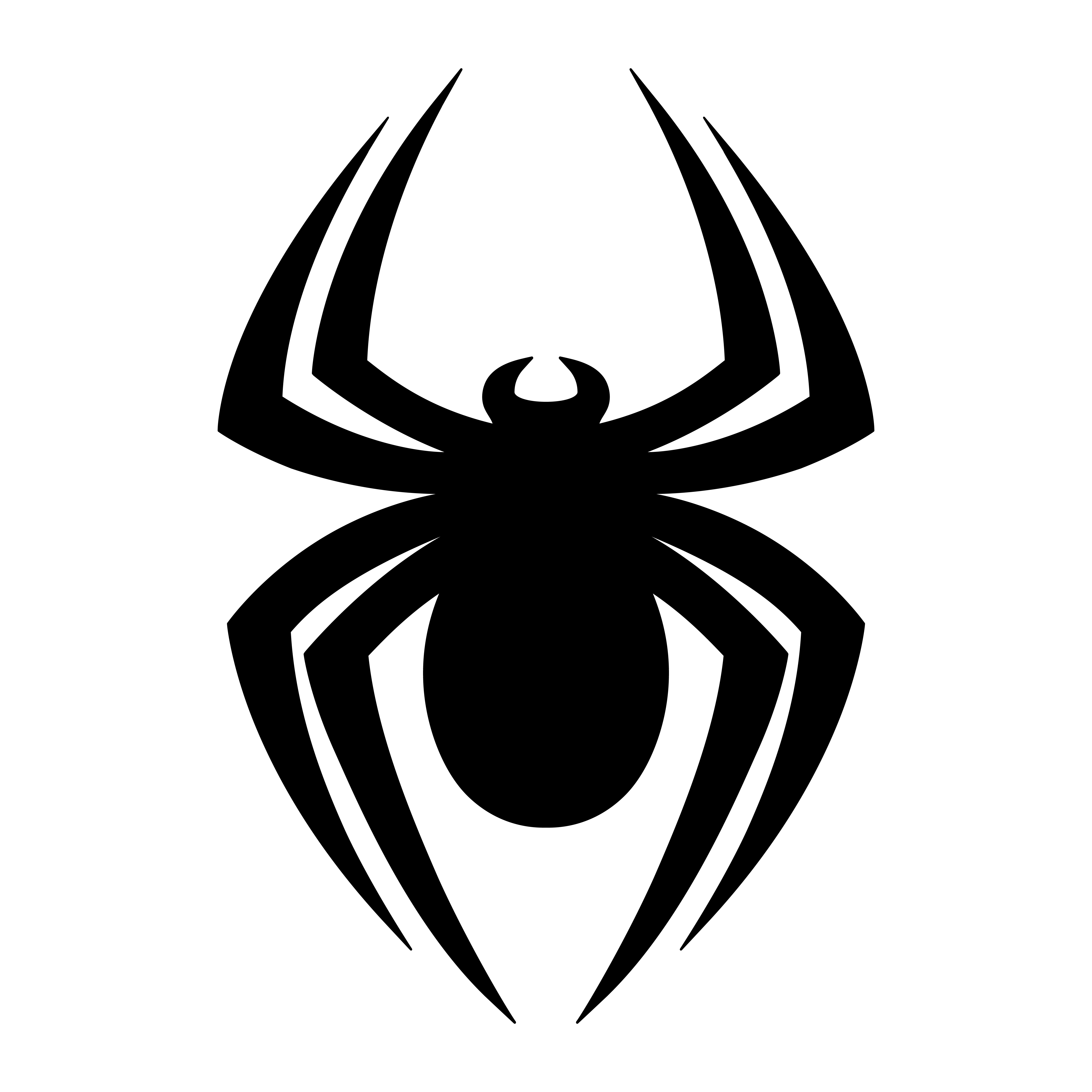 Spider insect bug 546542 Vector Art at Vecteezy