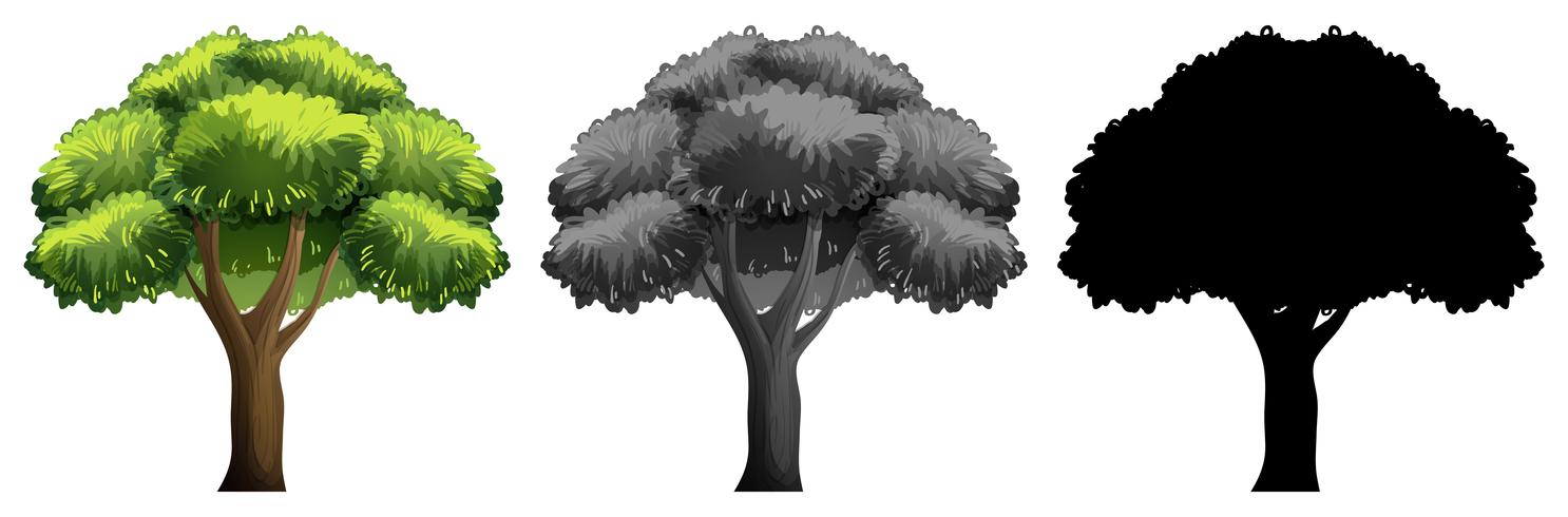 Set of isolated tree 549479 Vector Art at Vecteezy Set of isolated tree 549479 Vector Art at Vecteezy