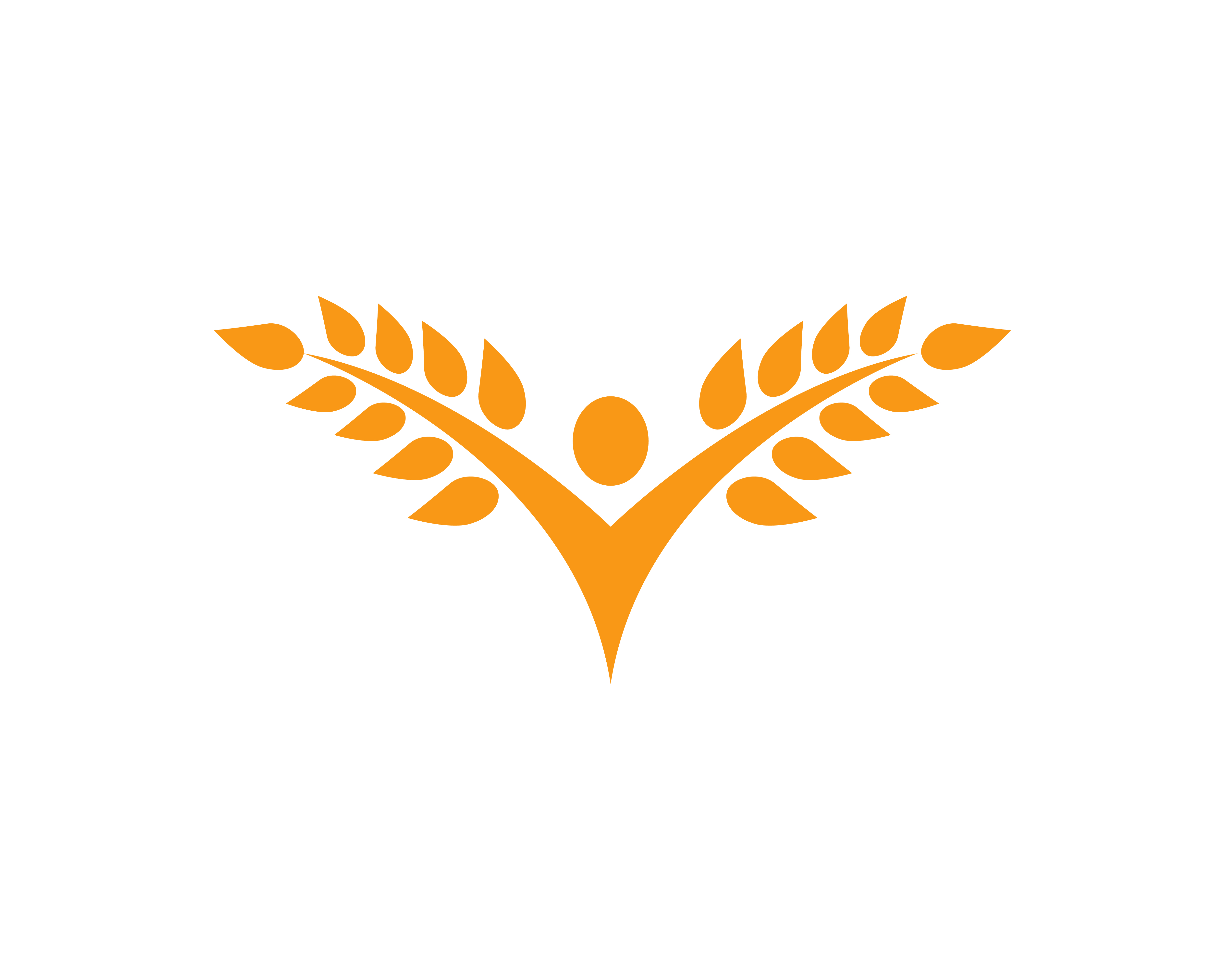 Plantilla de logotipo de trigo agrícola, diseño de icono de vector de ... Plantilla de logotipo de trigo agrícola, diseño de icono de vector de ...