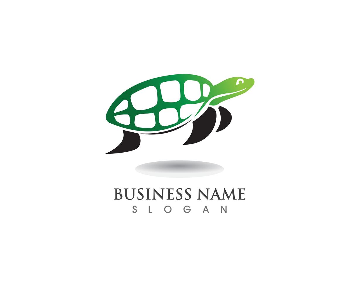 turtle animal cartoon image vector illustration design 583240 Vector ...