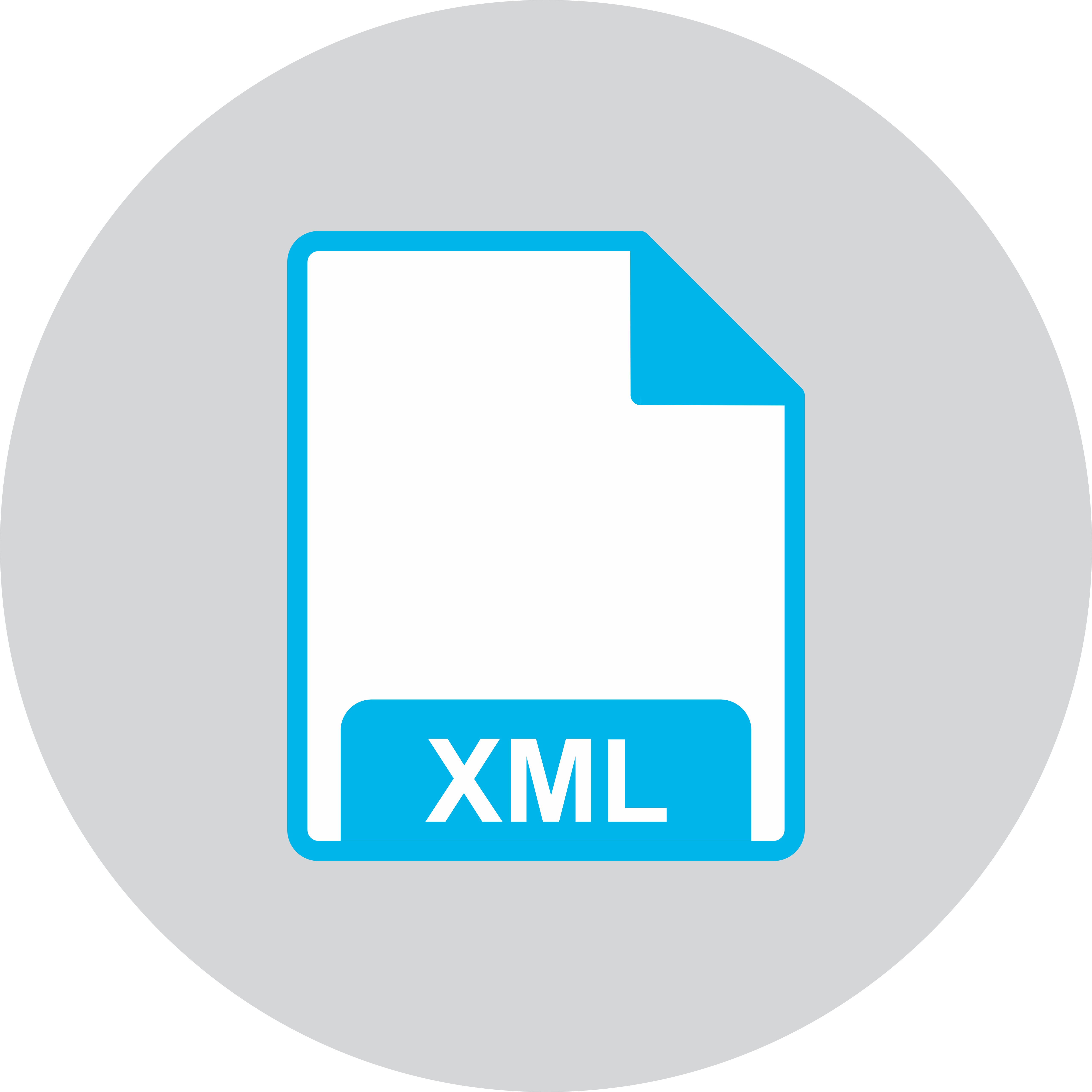 Vector Xml Icon 593287 Vector Art At Vecteezy