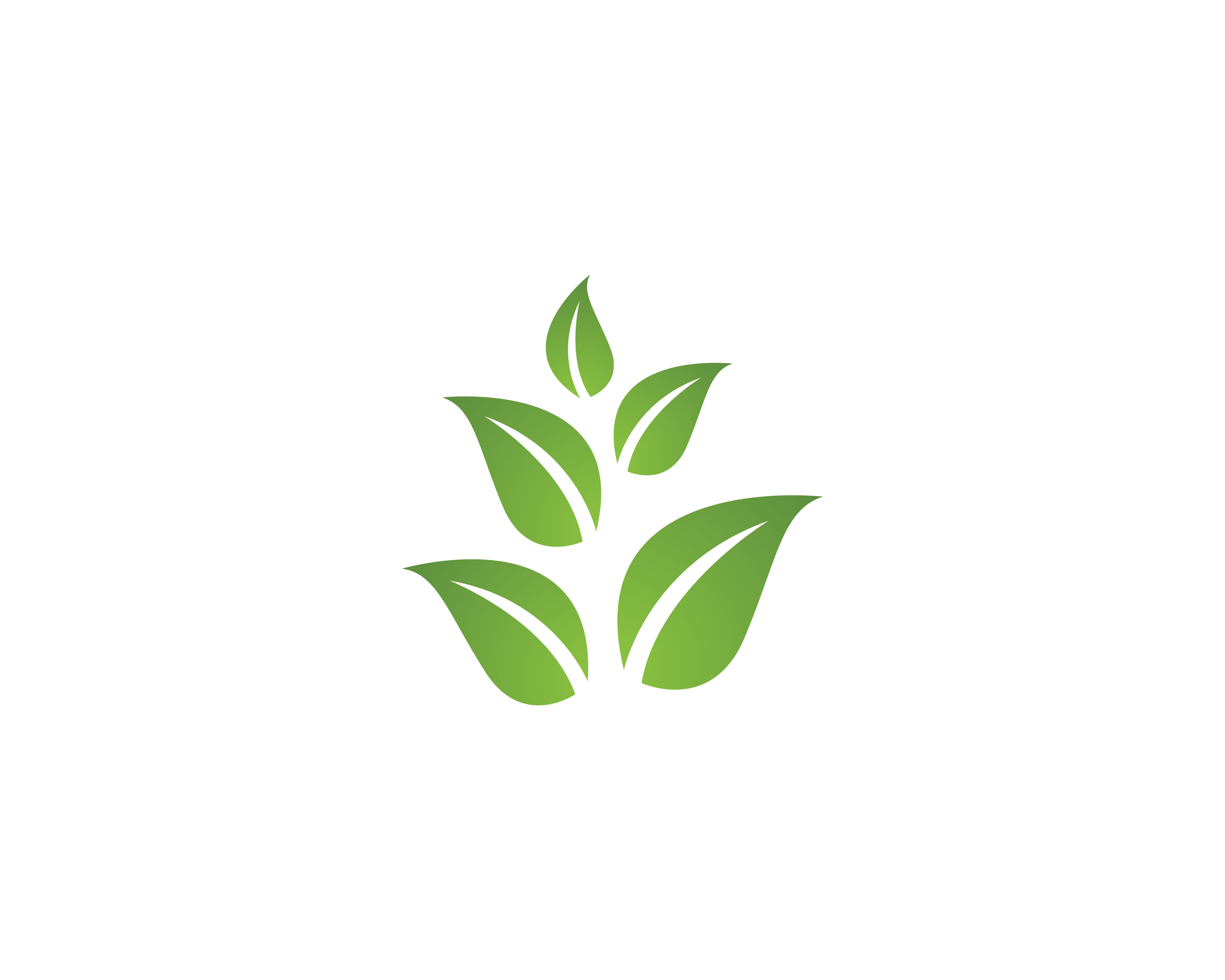 Tree Leaf Vector icon Illustration design 595973 Vector Art at Vecteezy