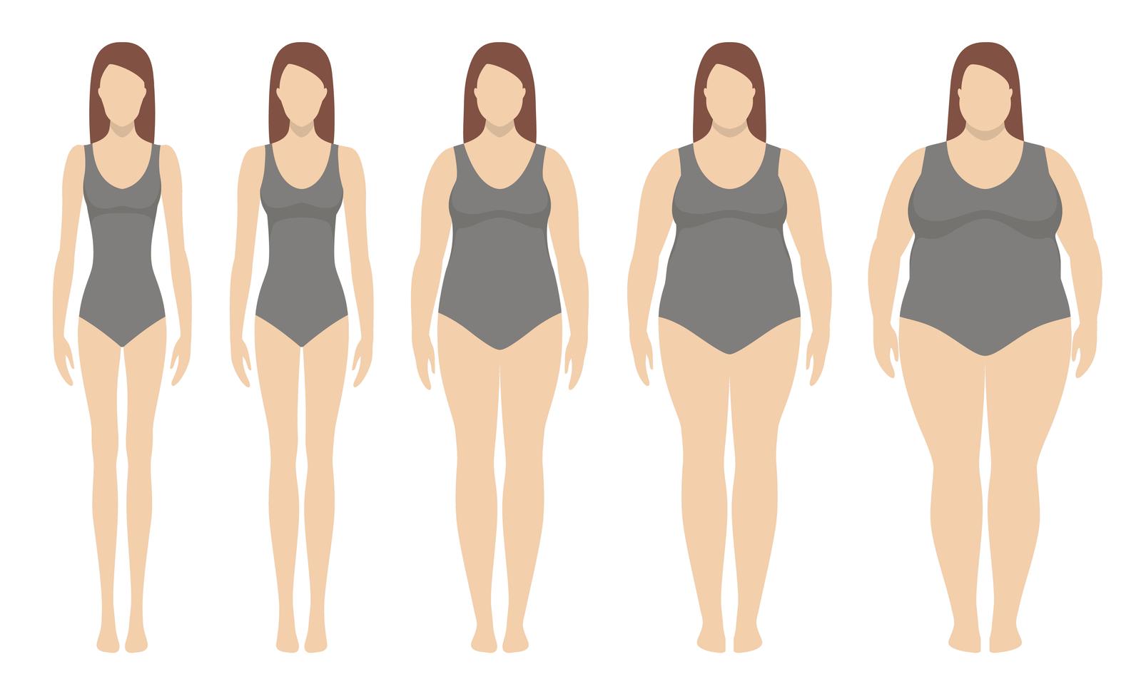 Body Mass Index Vector Illustration From Underweight To Extremly Obese