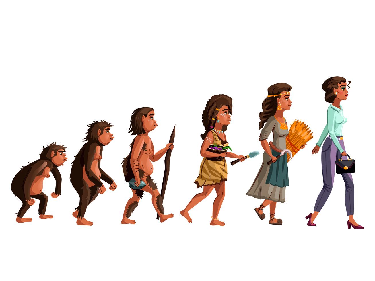 Woman evolution vector cartoon illustration 638425 Vector Art at Vecteezy Woman evolution vector cartoon illustration 638425 Vector Art at Vecteezy