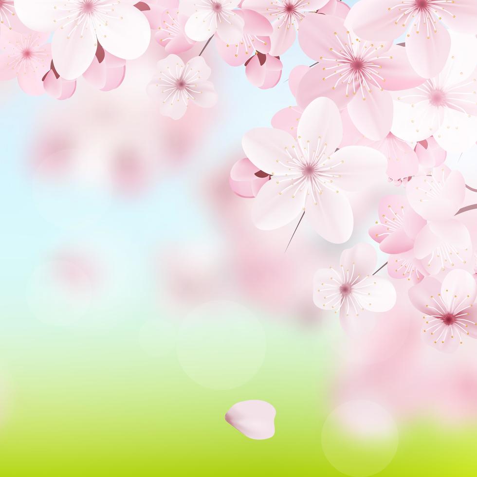 Delicate Floral Background Design 668545 Vector Art At Vecteezy