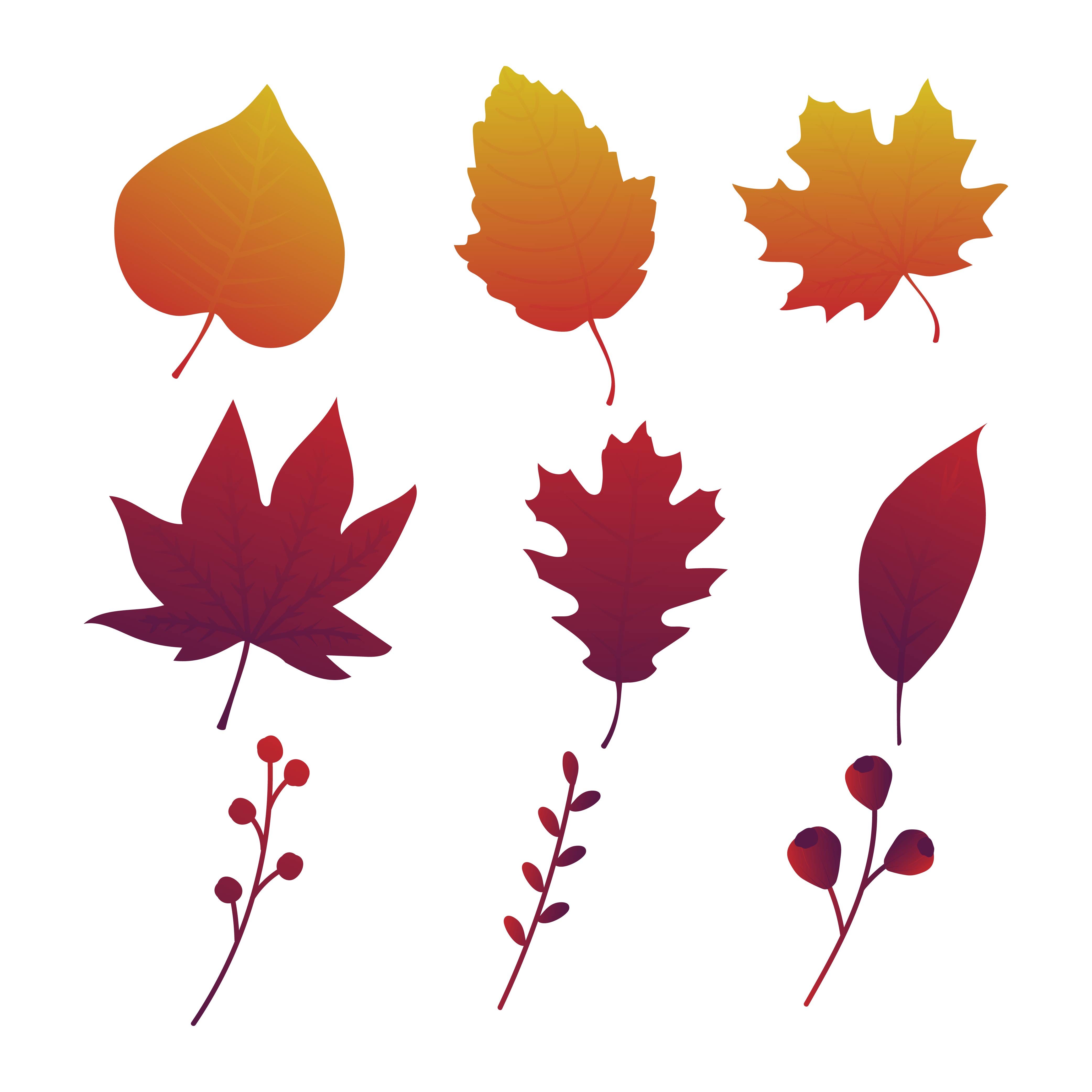 Autumn Leaves Set 670006 Vector Art At Vecteezy
