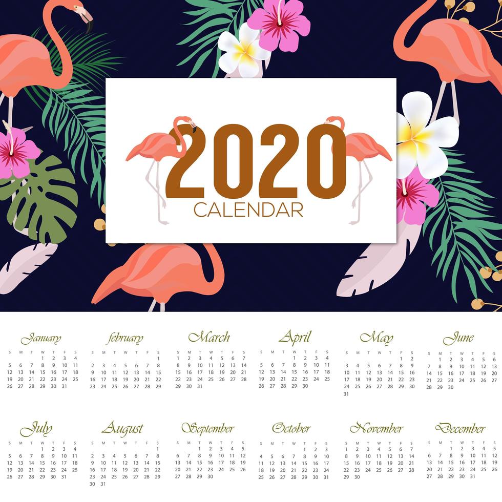 2020 tropical calendar design 681598 Vector Art at Vecteezy