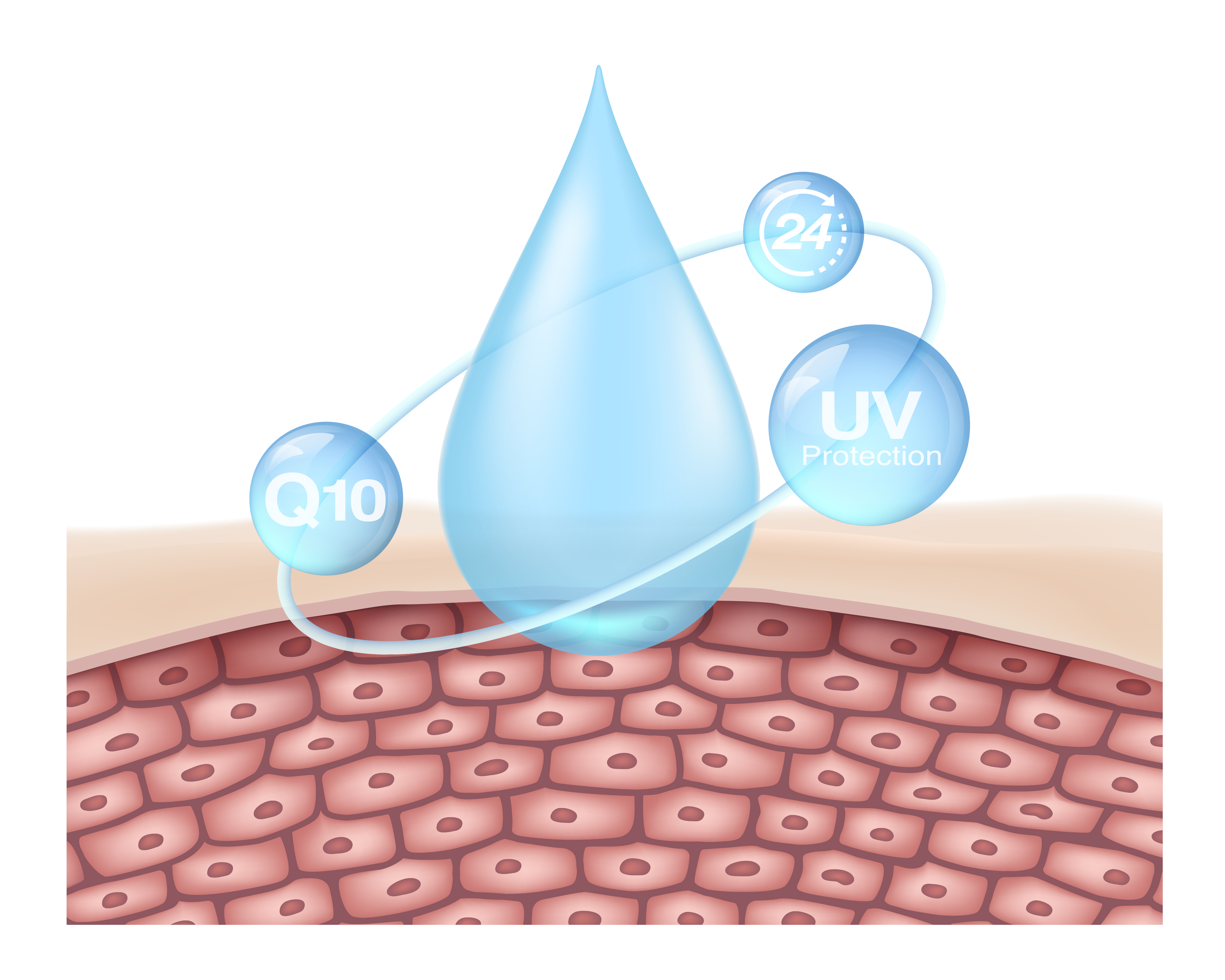 Skin Nourishing Formulas Concept 681936 Vector Art At Vecteezy
