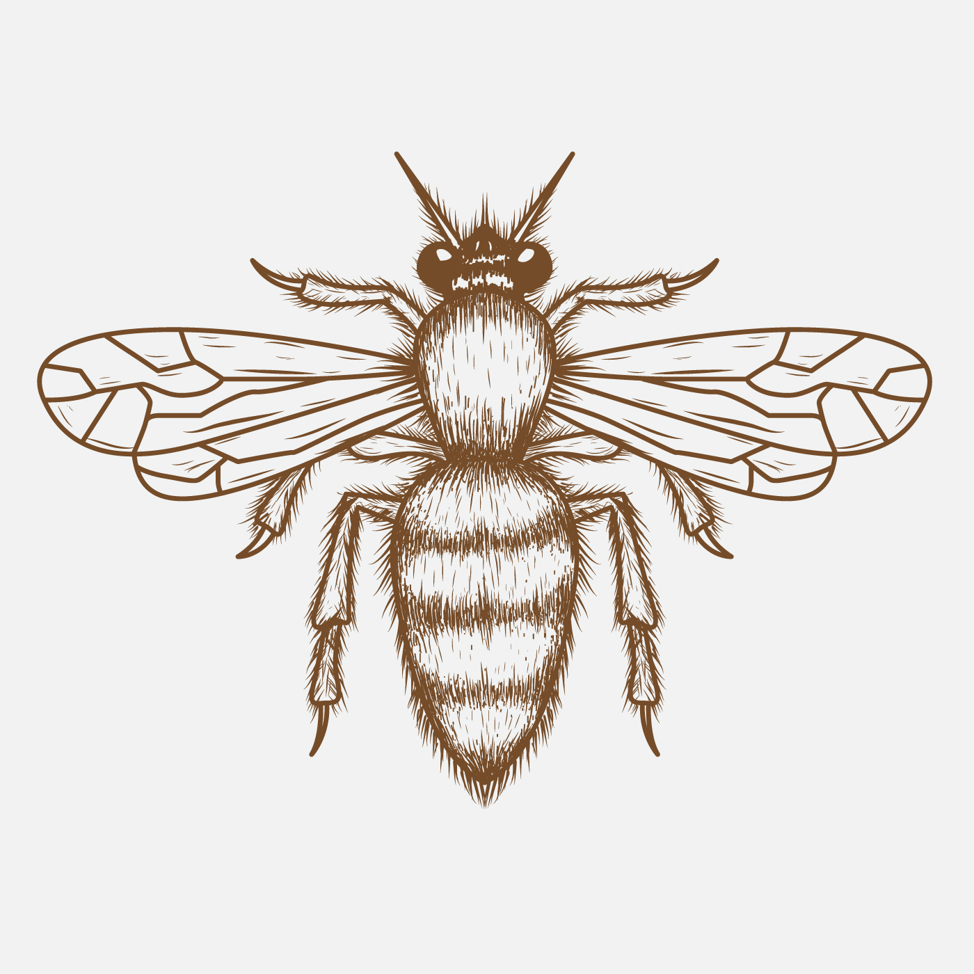 Bee Drawing Vector Art, Icons, and Graphics for Free Download Bee Drawing Vector Art, Icons, and Graphics for Free Download