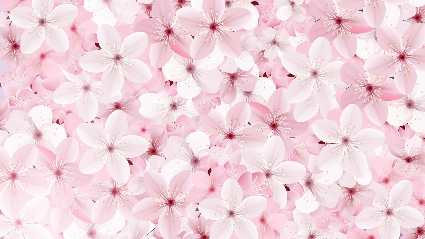 Blossoming pink sakura flowers background 701675 Vector Art at Vecteezy Blossoming pink sakura flowers background 701675 Vector Art at Vecteezy