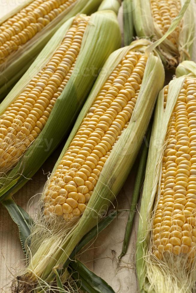 Fresh corn on the cob 776784 Stock Photo at Vecteezy Fresh corn on the cob 776784 Stock Photo at Vecteezy