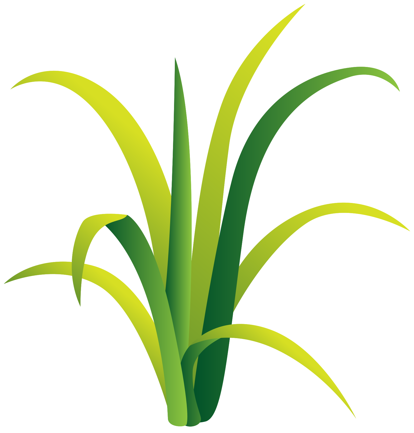 Grass 1193363 Png
